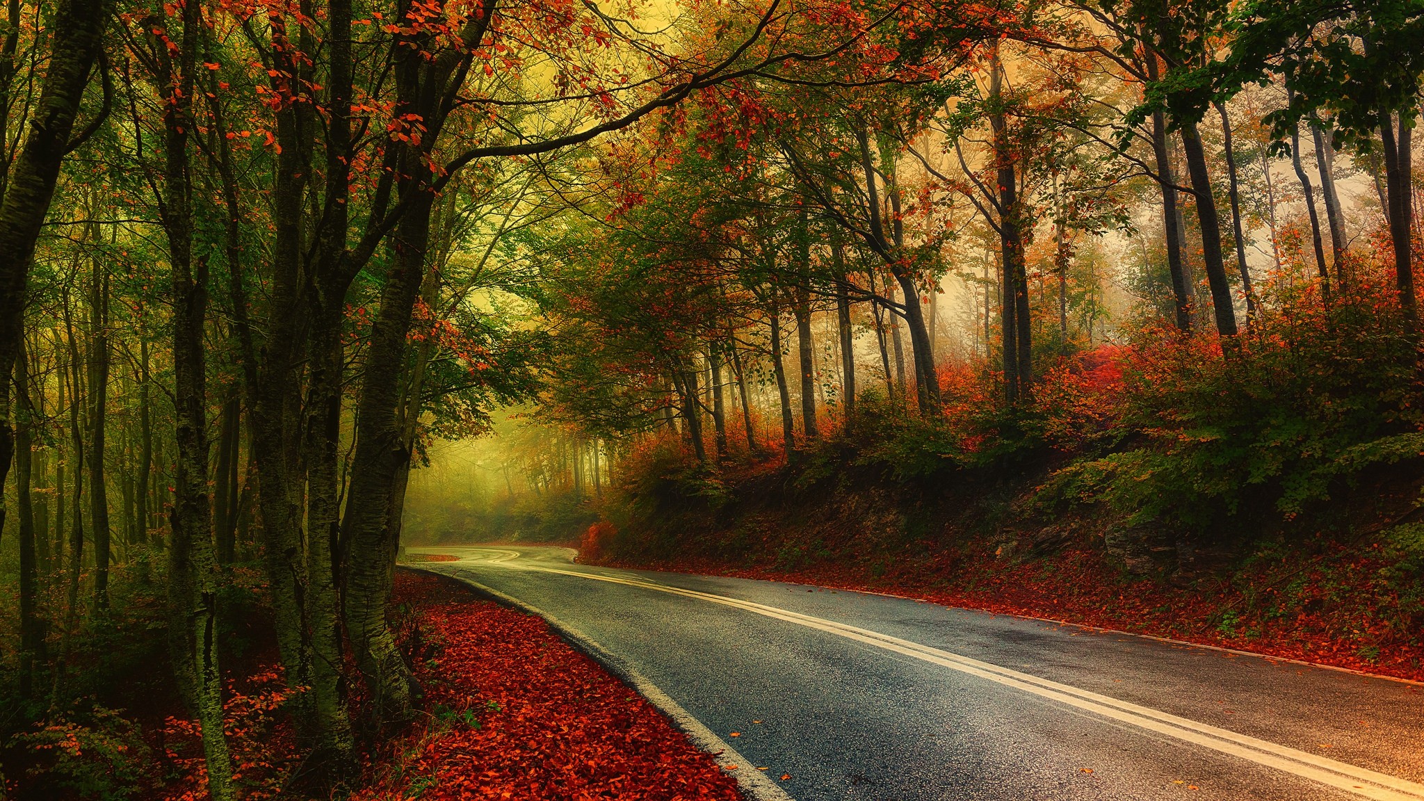 Autumn Road Hd Wallpaper
