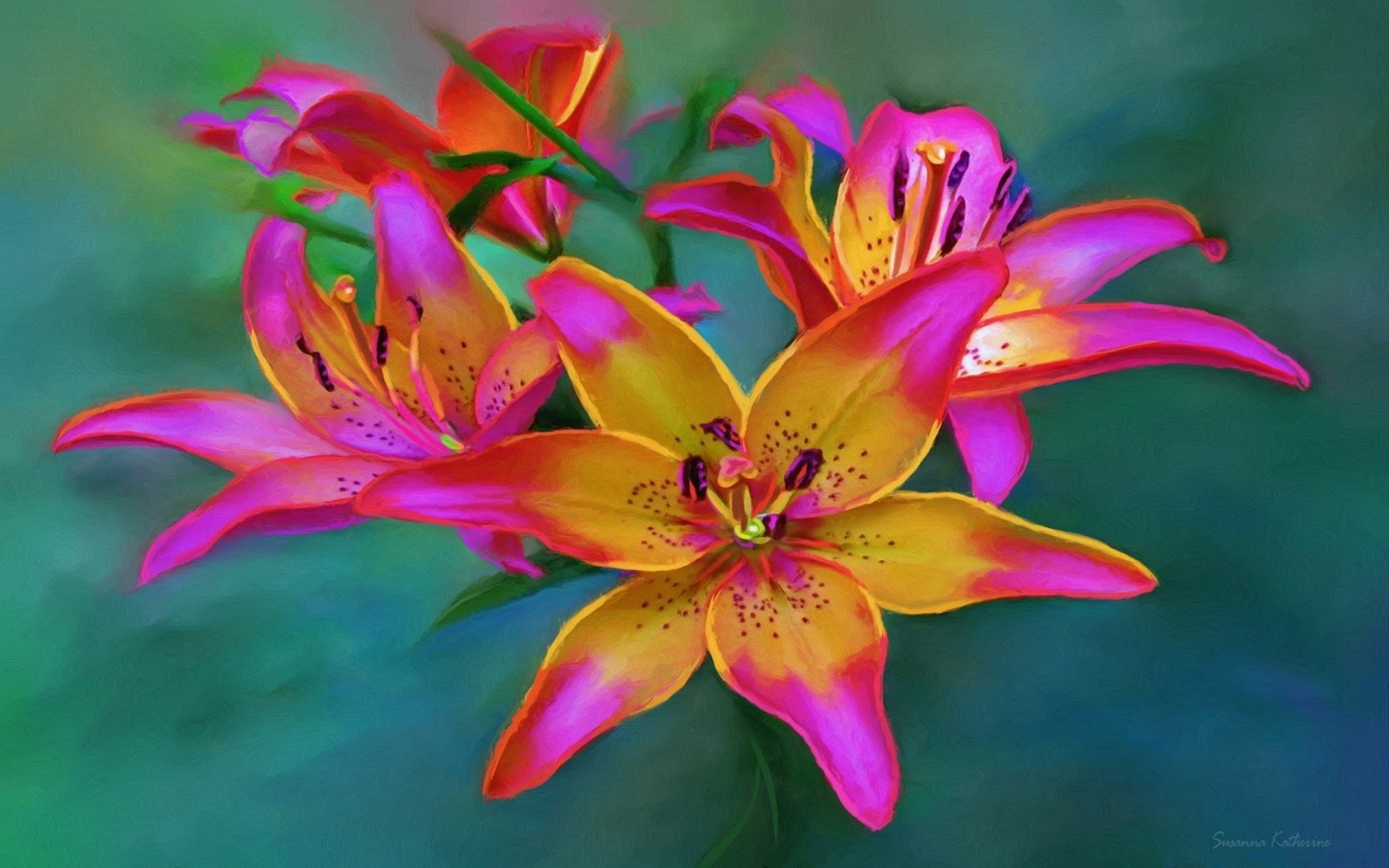 Download Colorful Colors Lily Flower Artistic Painting HD Wallpaper