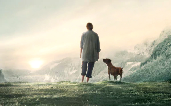 The Wall (2012) Wallpapers