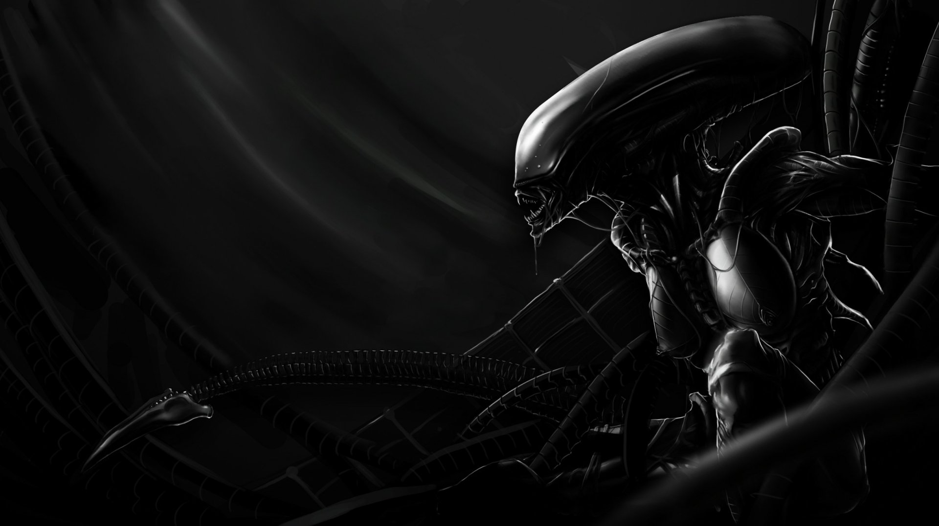 Alien Xenomorph: HD Movie Wallpaper in Dark Elegance