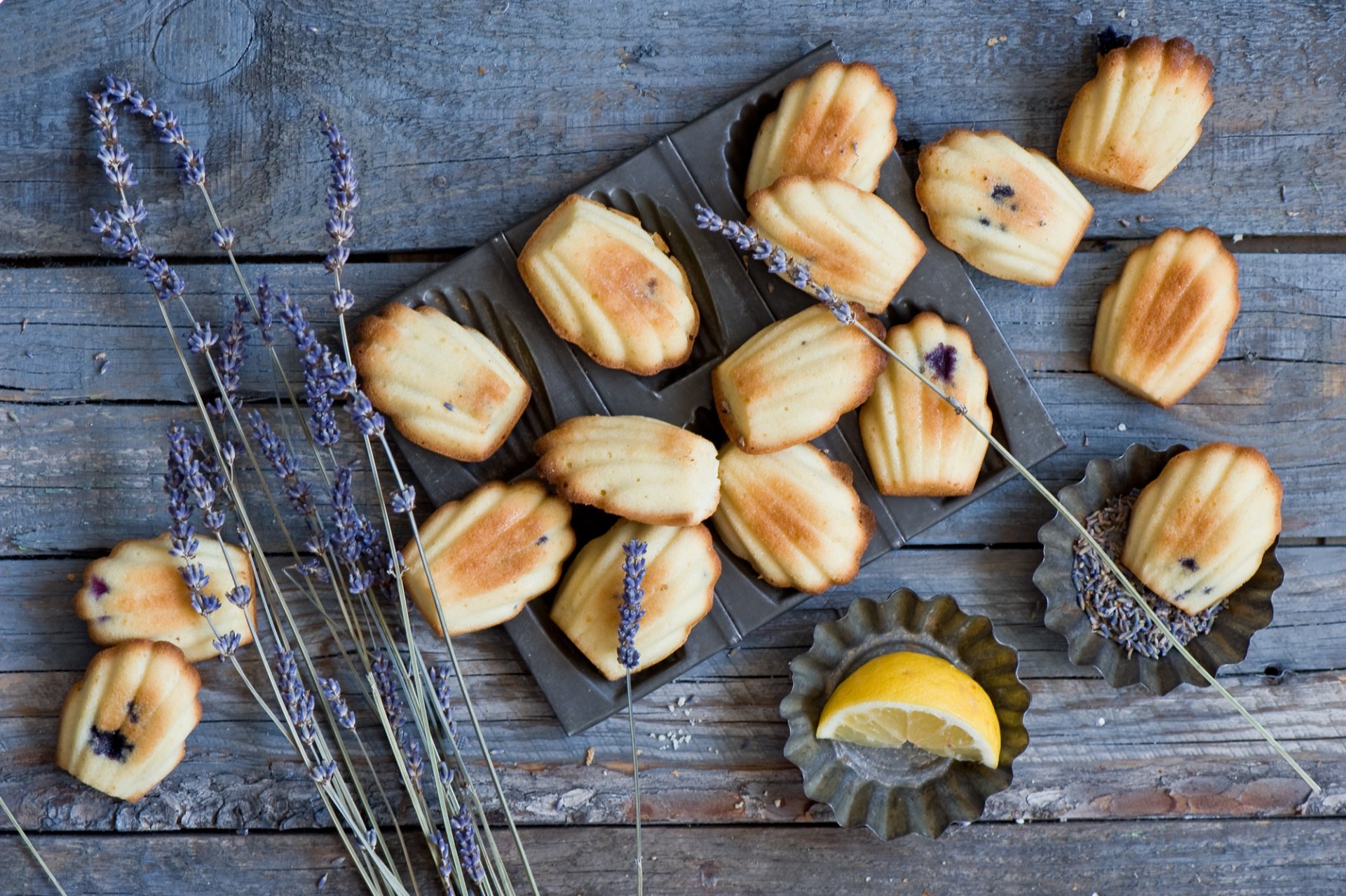 Delightful Madeleine Still Life – HD Food Wallpaper Elegance by Anna ...