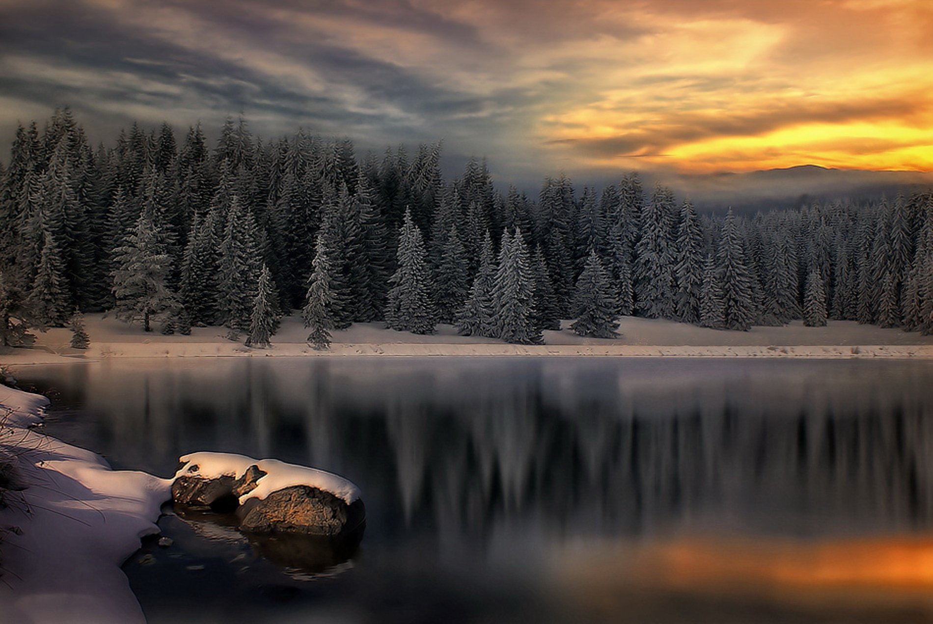 Download Pond Tree Sunset Nature Winter Wallpaper