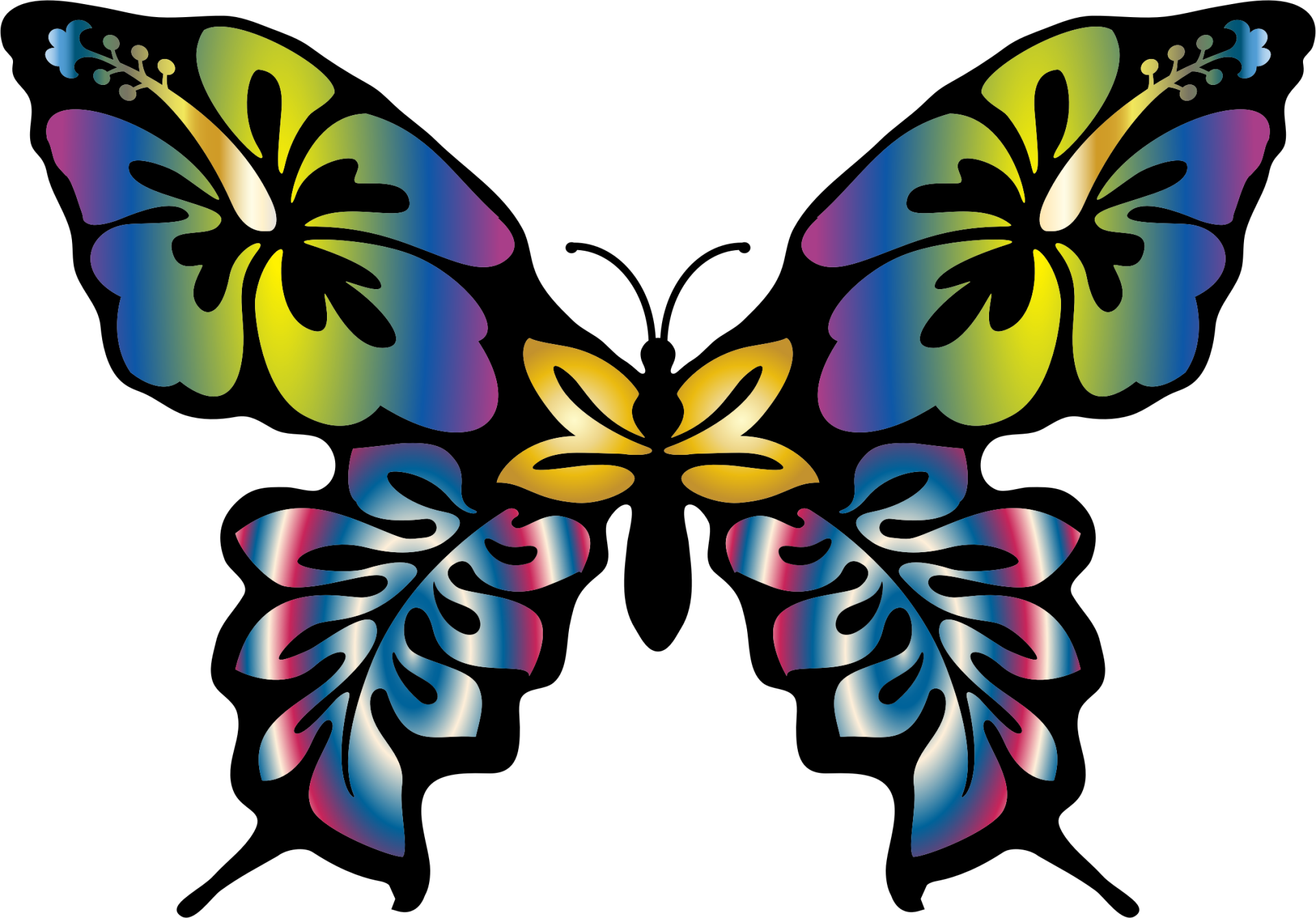 Download Colorful Colors Artistic Butterfly HD Wallpaper