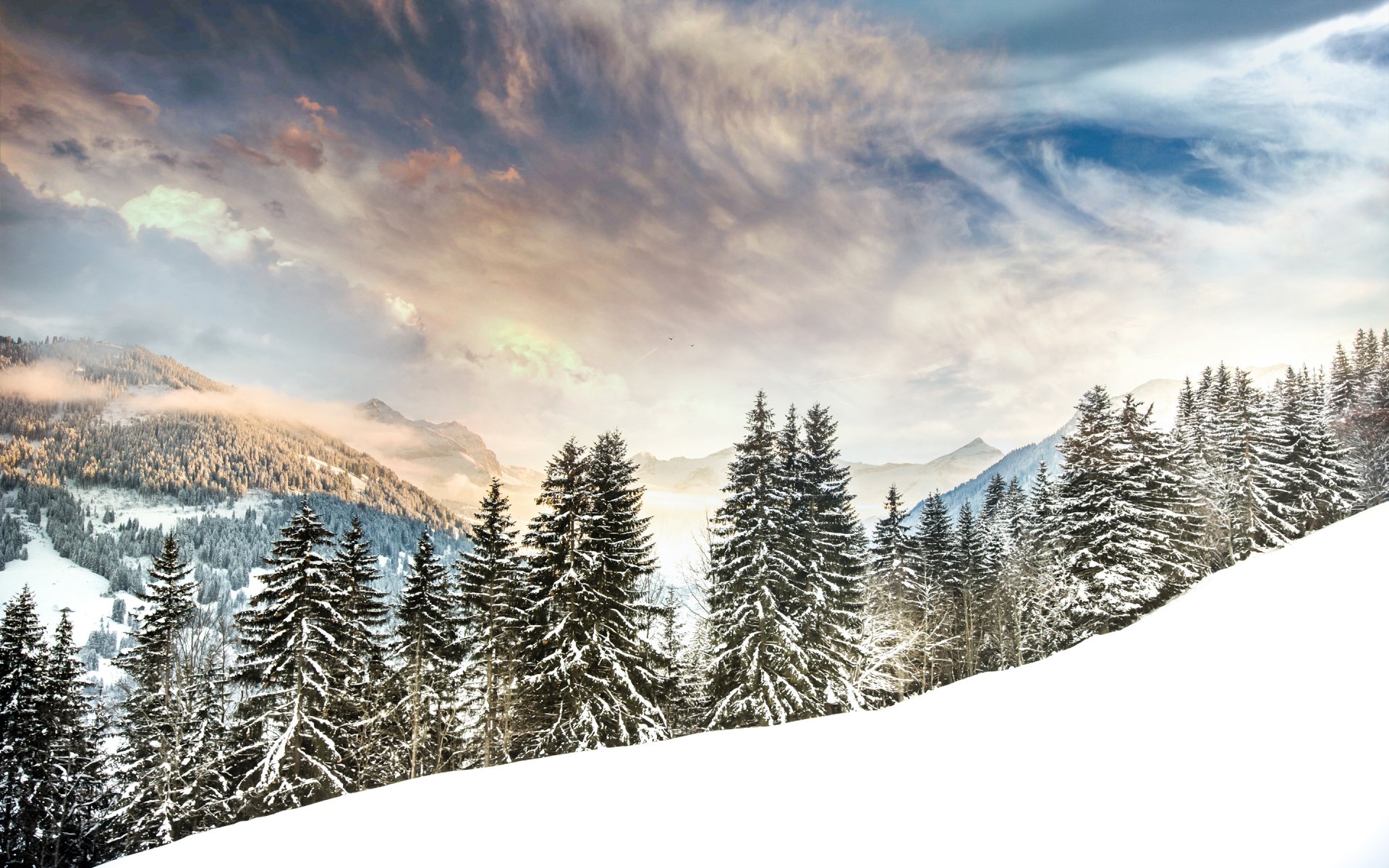 Download Snow Tree Forest Nature Winter HD Wallpaper | 2880x1800 ...