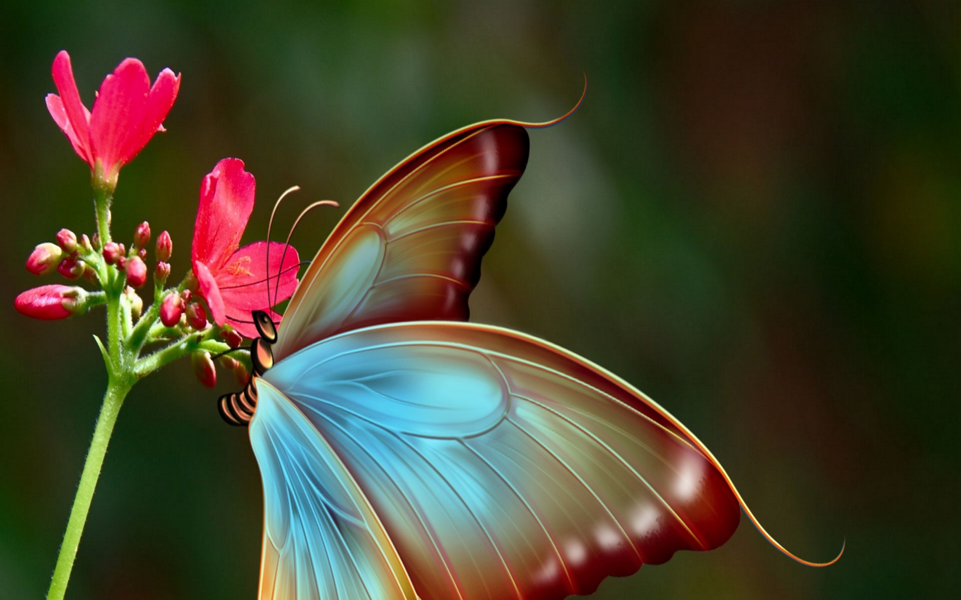Butterfly on Flower