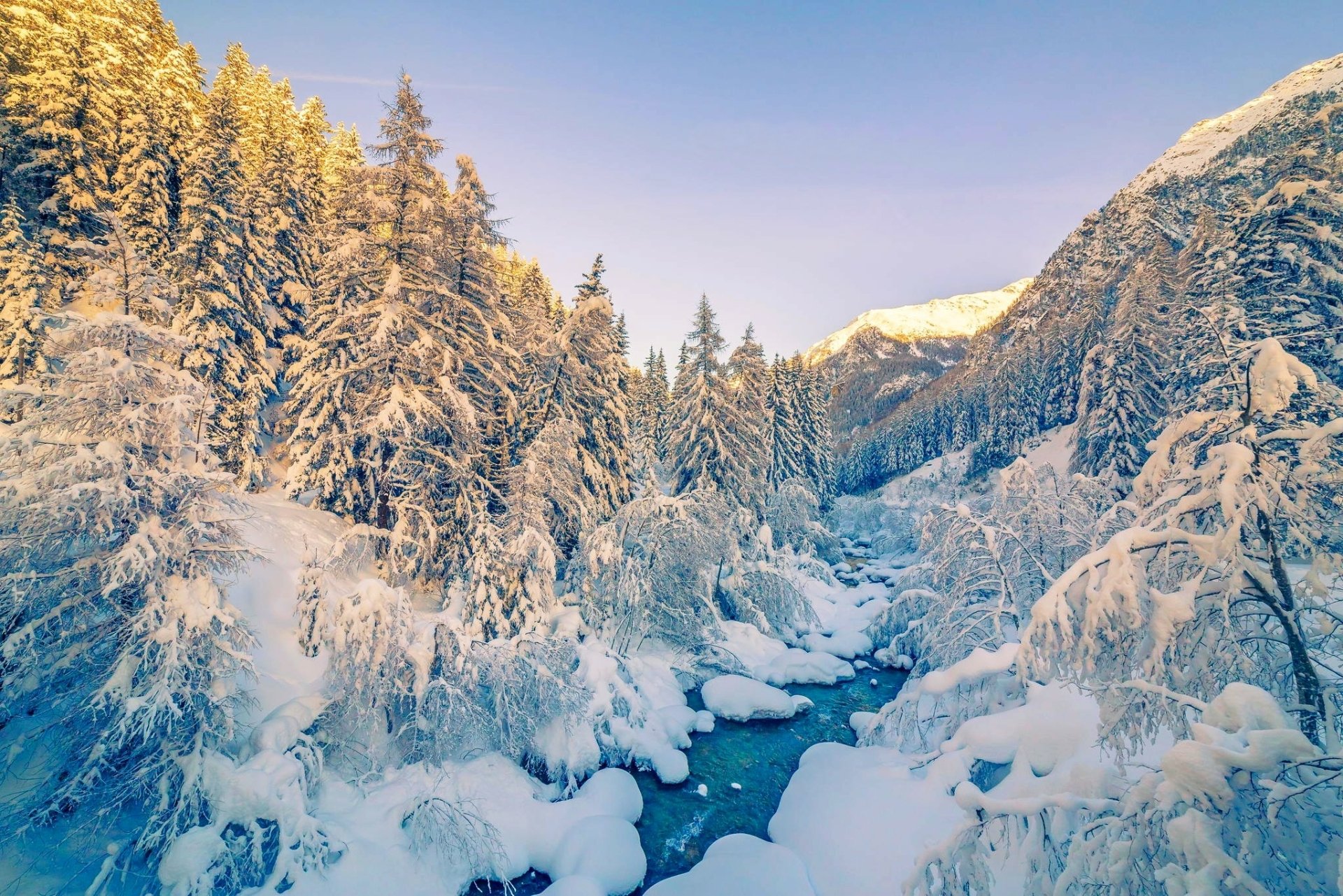 Download Snow River Tree Forest Nature Winter HD Wallpaper