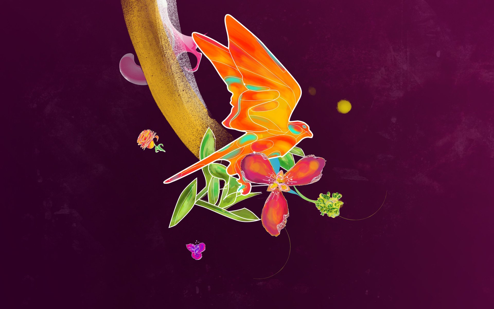 Download Colorful Colors Flower Animal Bird HD Wallpaper