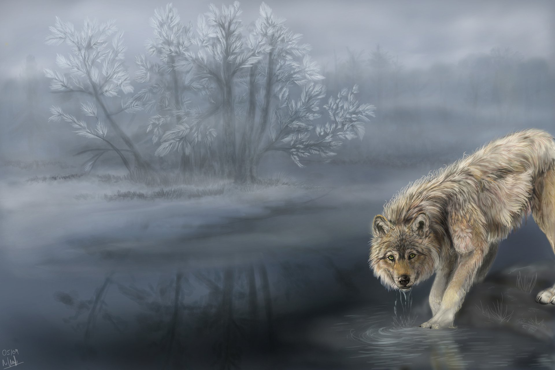 Foggy Night Wolf by the Water – HD Animal Painting Wallpaper by ...