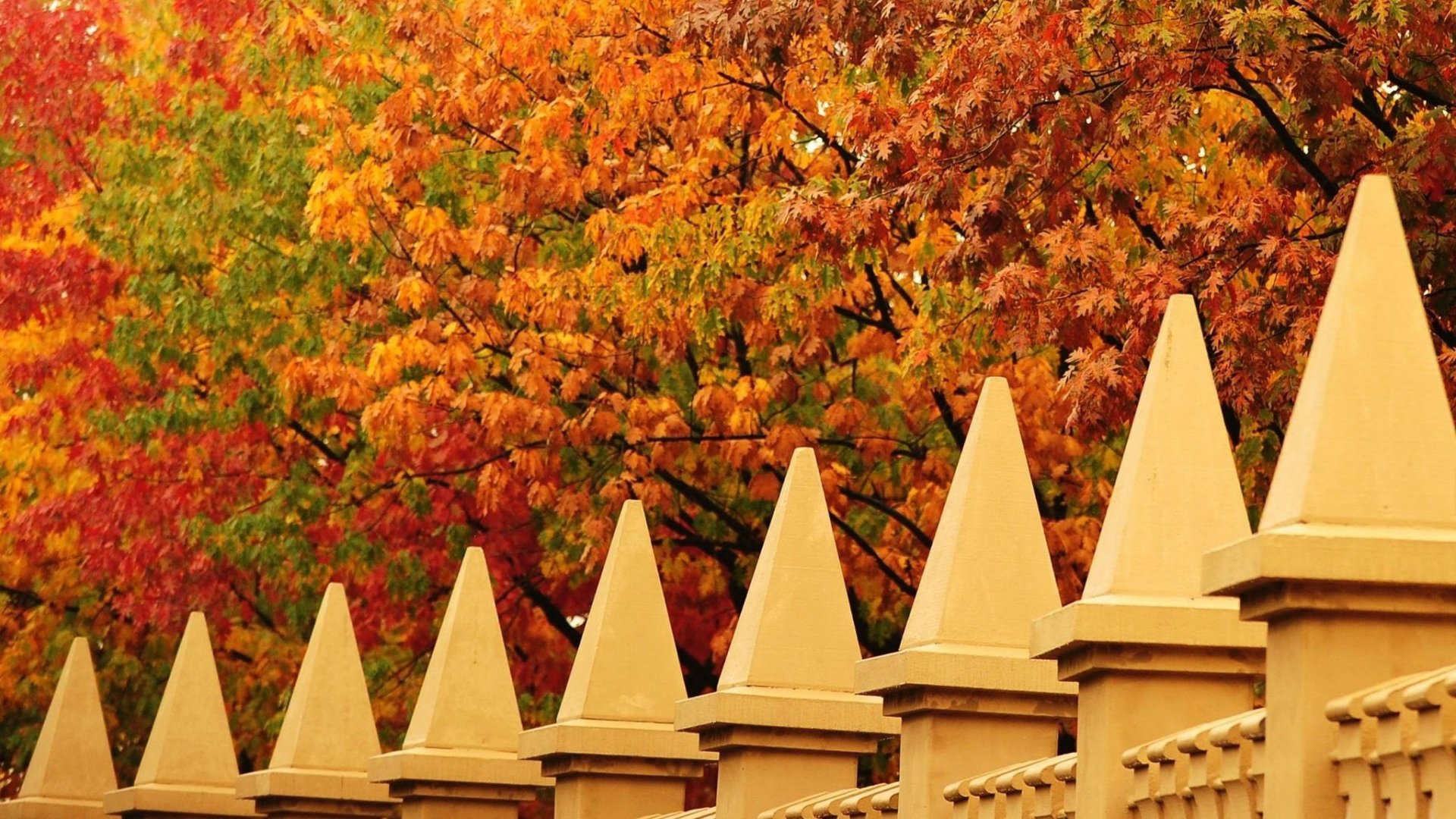 Download Tree Fall Man Made Fence HD Wallpaper