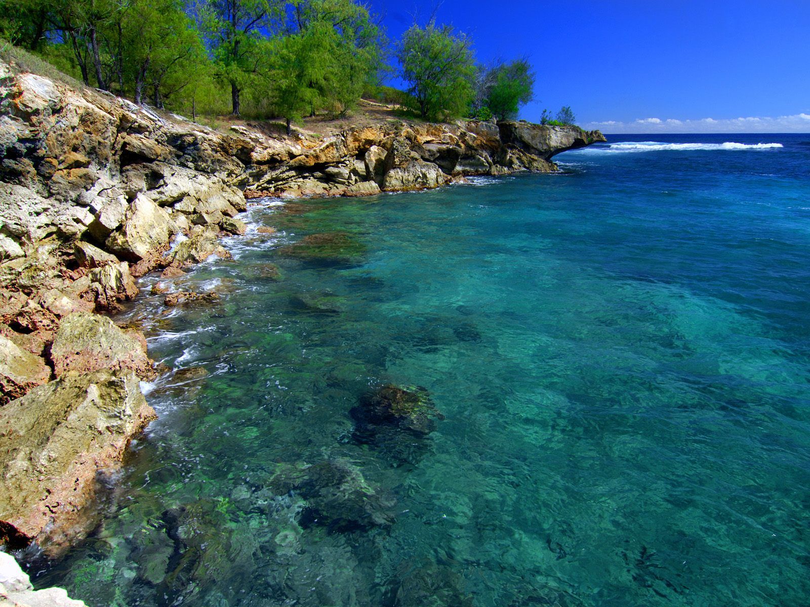 HD Wallpaper of a Serene Planet Beach Landscape