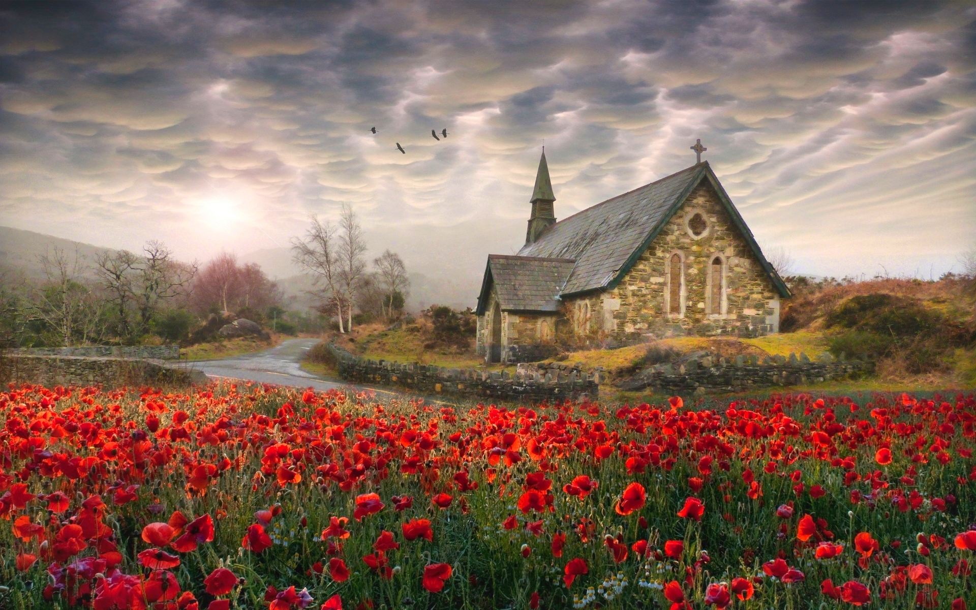HD Wallpaper of Poppy Fields and Rustic Church