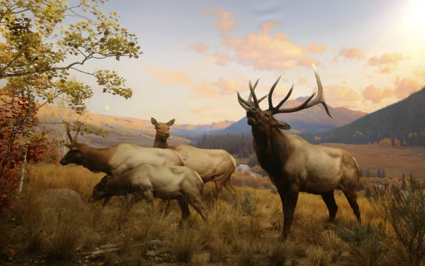 [40+] Elk Wallpapers