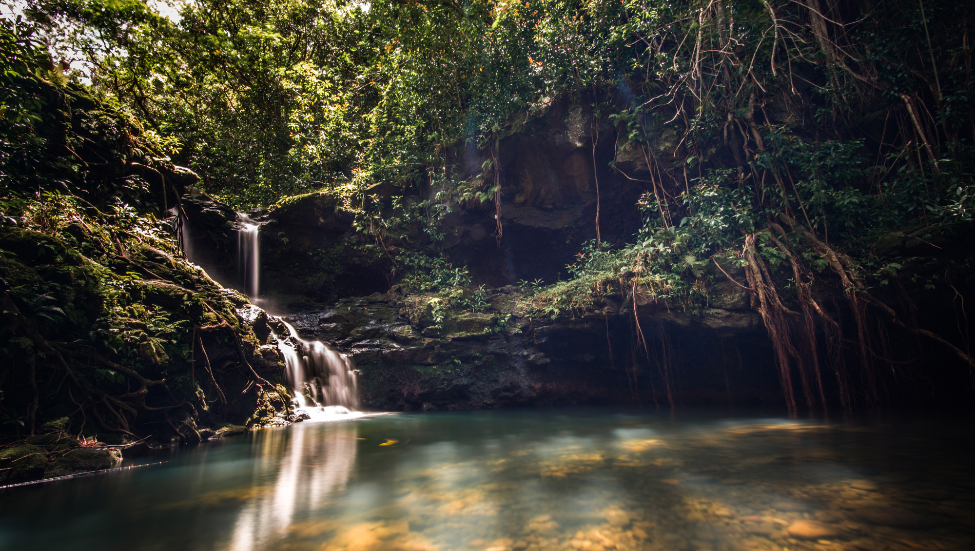 Download Sunny Pond Nature Waterfall HD Wallpaper