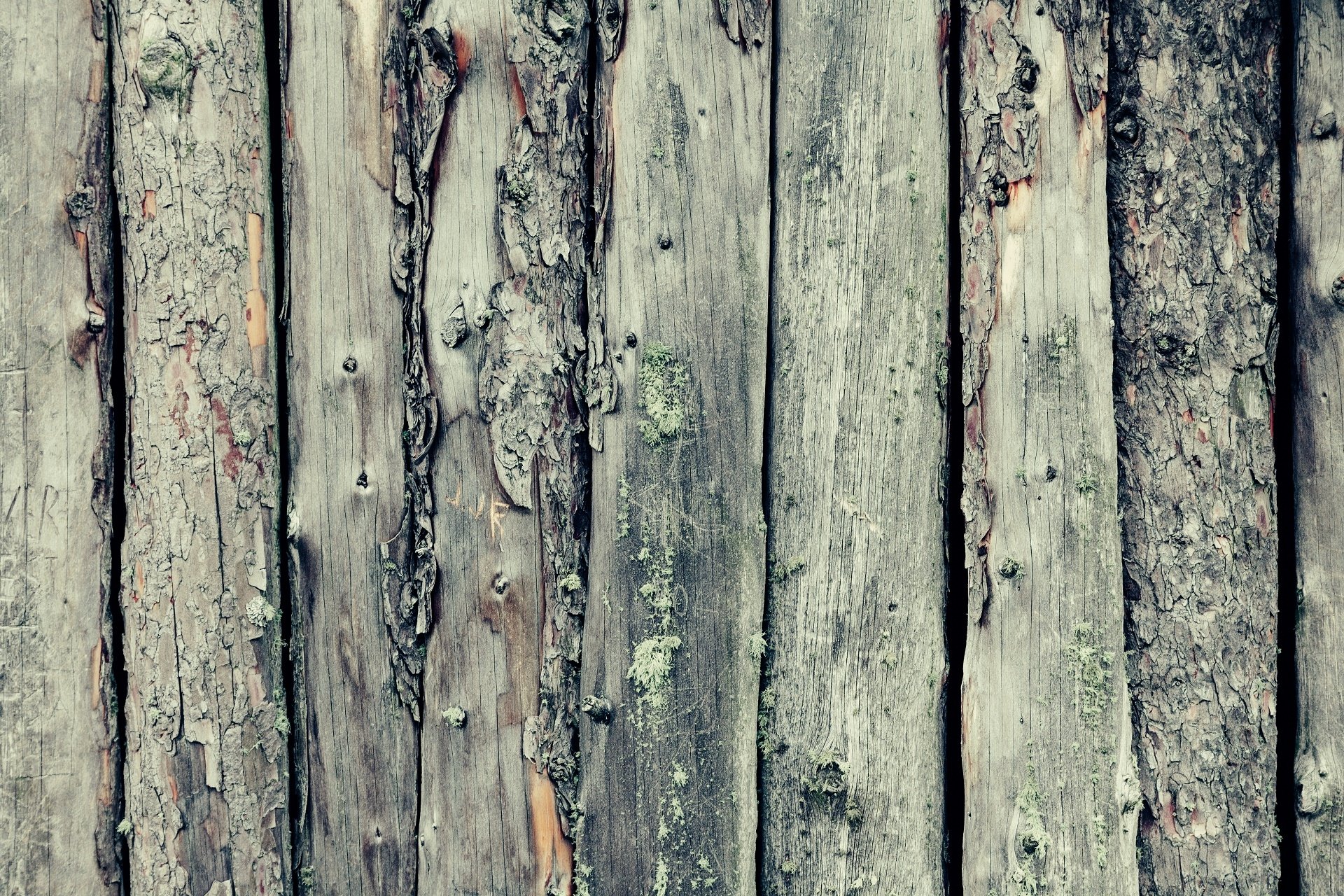 Download Artistic Wood HD Wallpaper