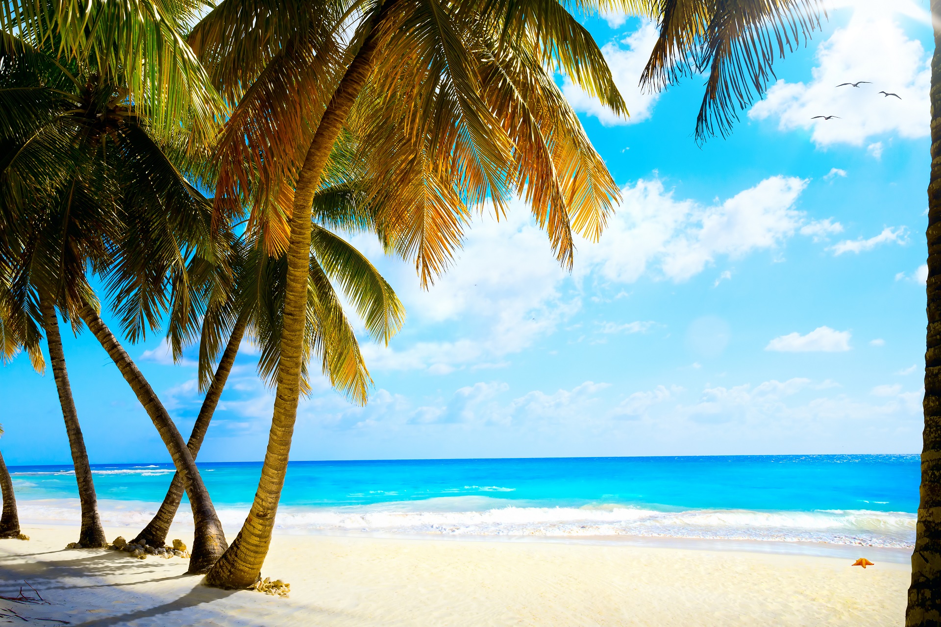 Download Nature Beach HD Wallpaper