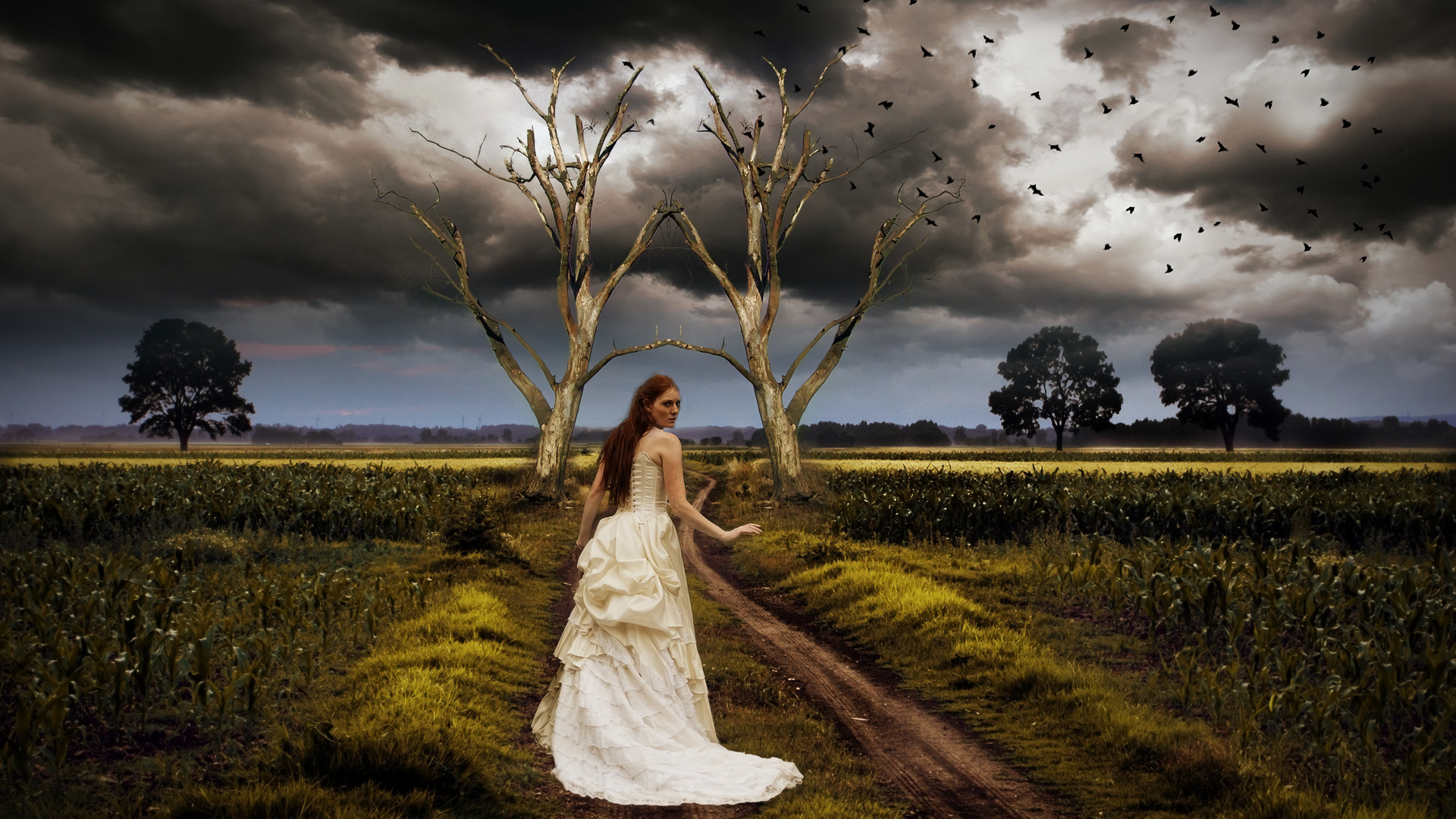 Download Tree Cloud Field Fantasy Woman HD Wallpaper