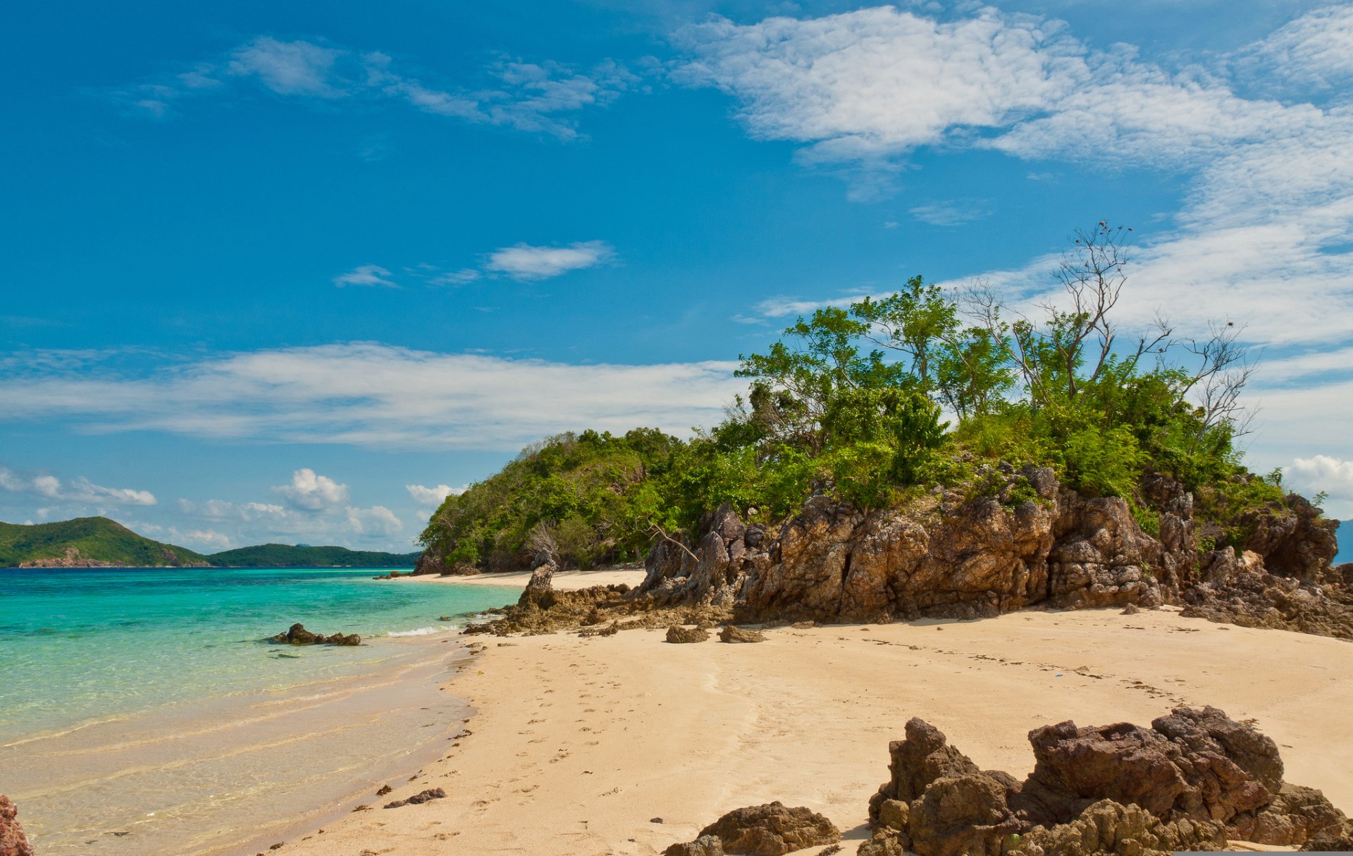 Tropical Beach