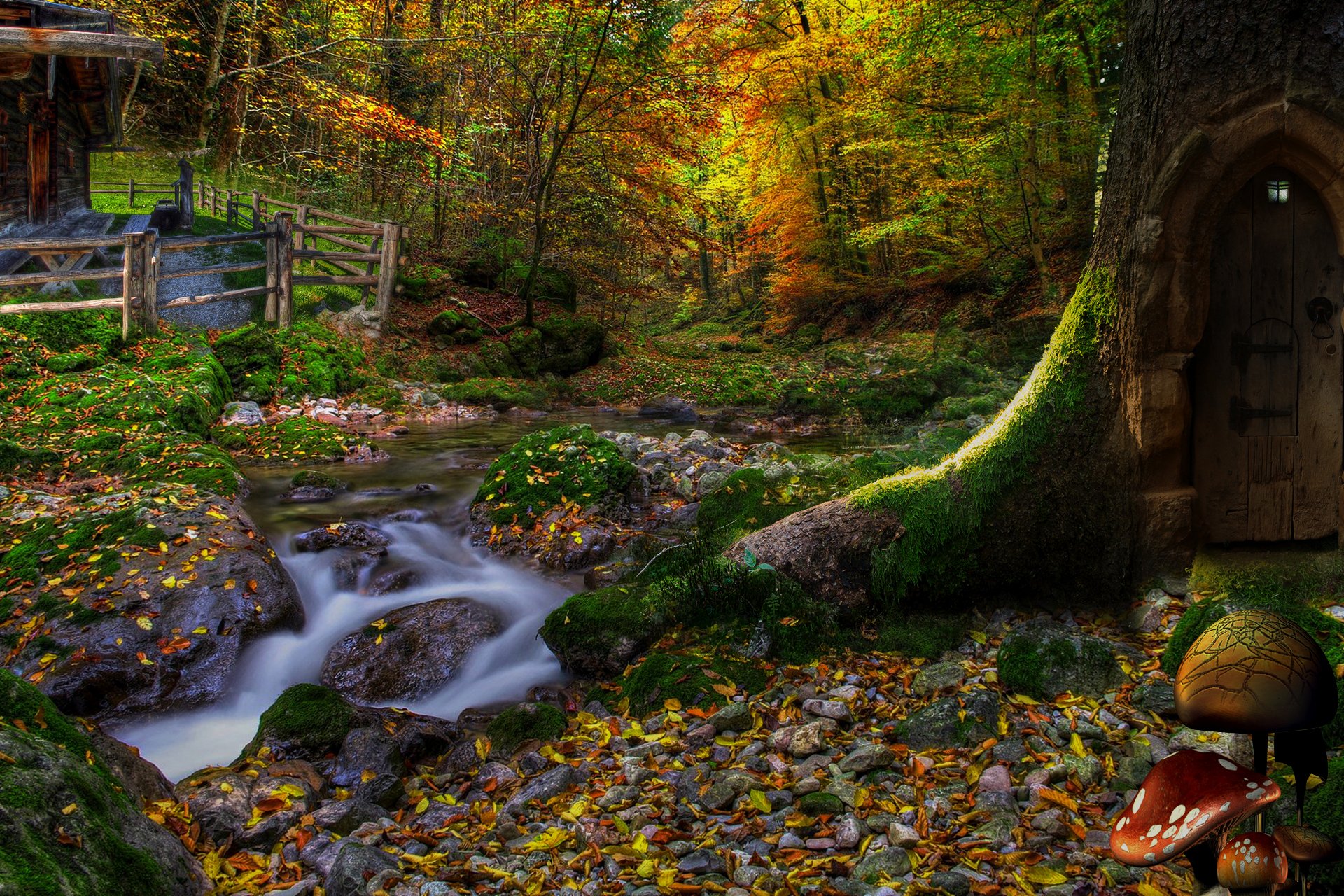 Download Mushroom Stream Fall Tree Fantasy Forest HD Wallpaper