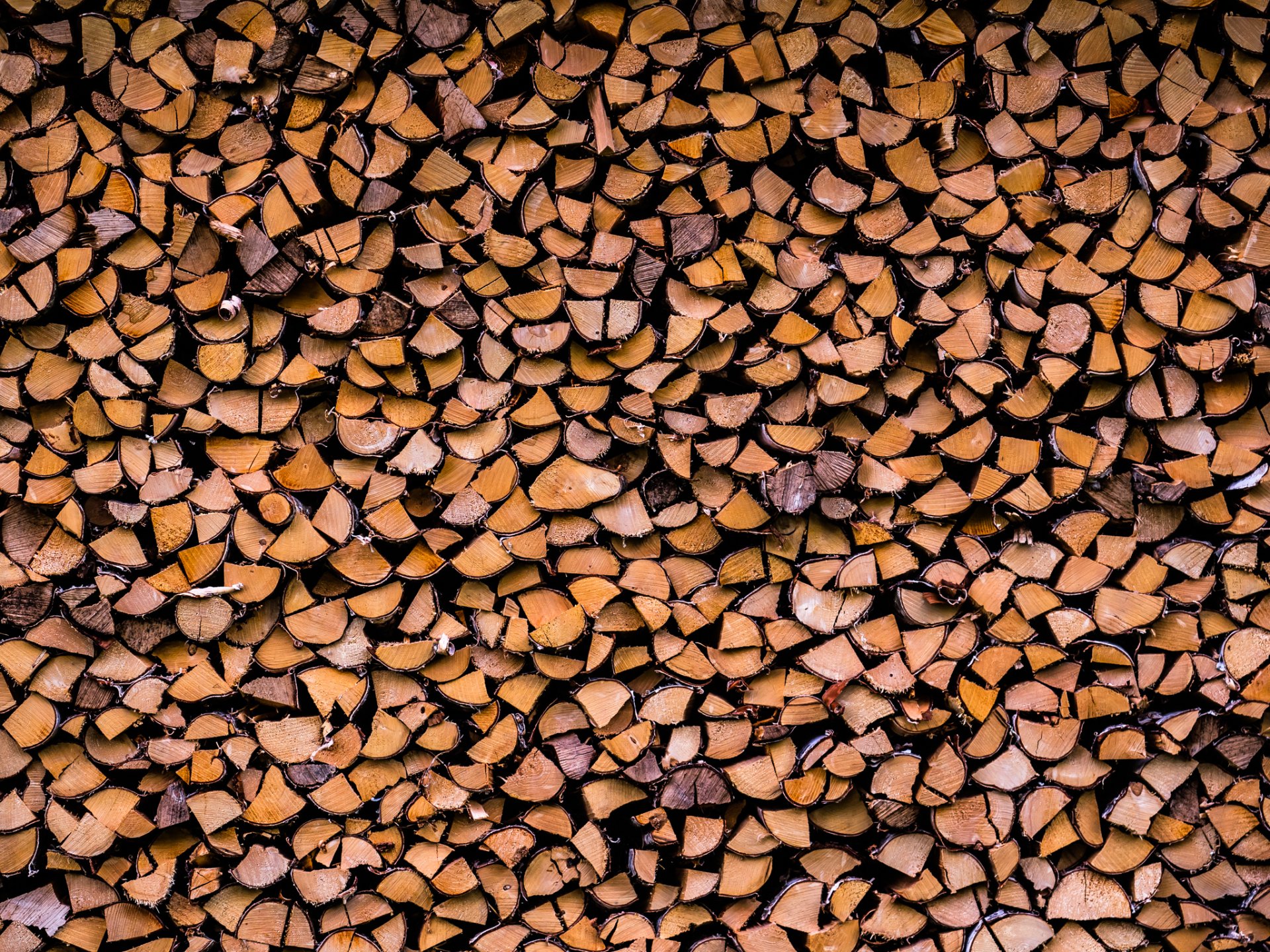 Download Nature Wood HD Wallpaper