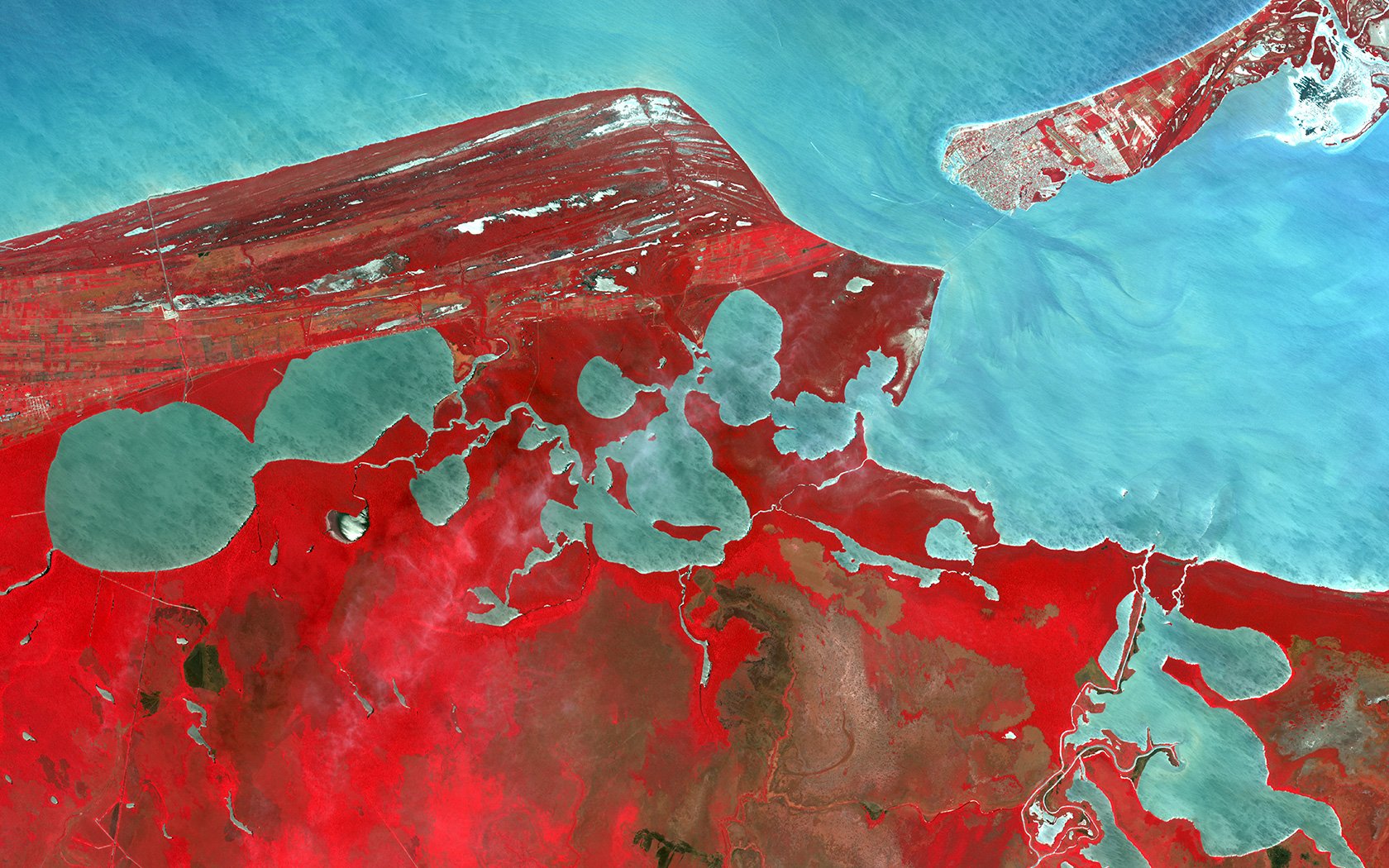 Download Ocean Red Artistic Drawing Wallpaper