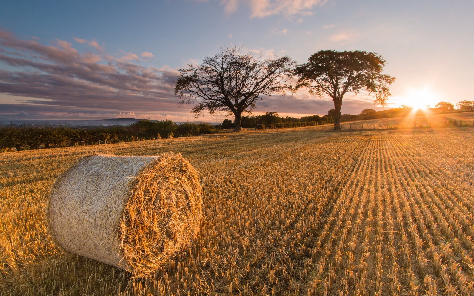 Download Sunbeam Summer Nature Field Haystack HD Wallpaper