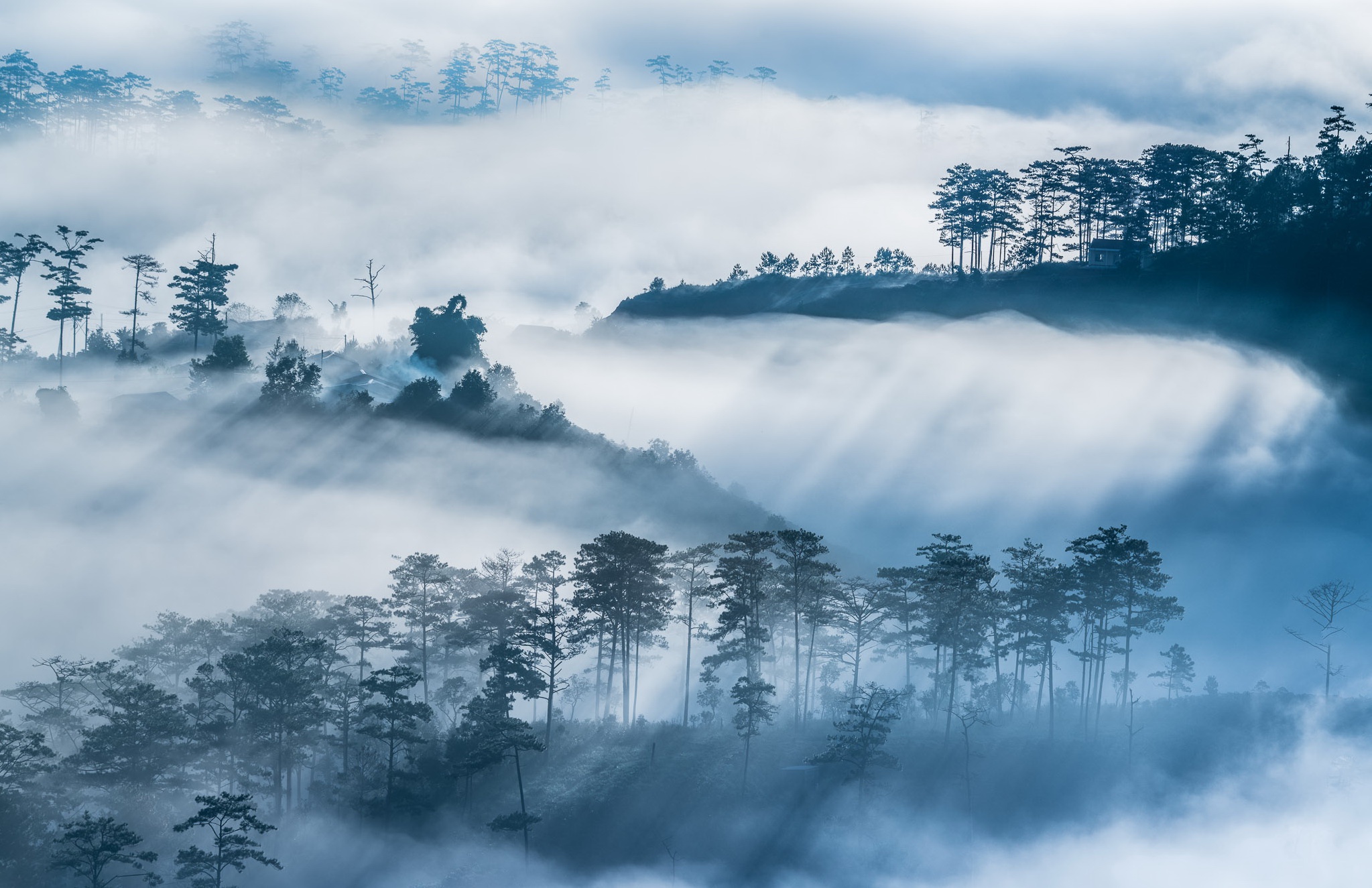 Download Tree Landscape Sunbeam Nature Fog HD Wallpaper