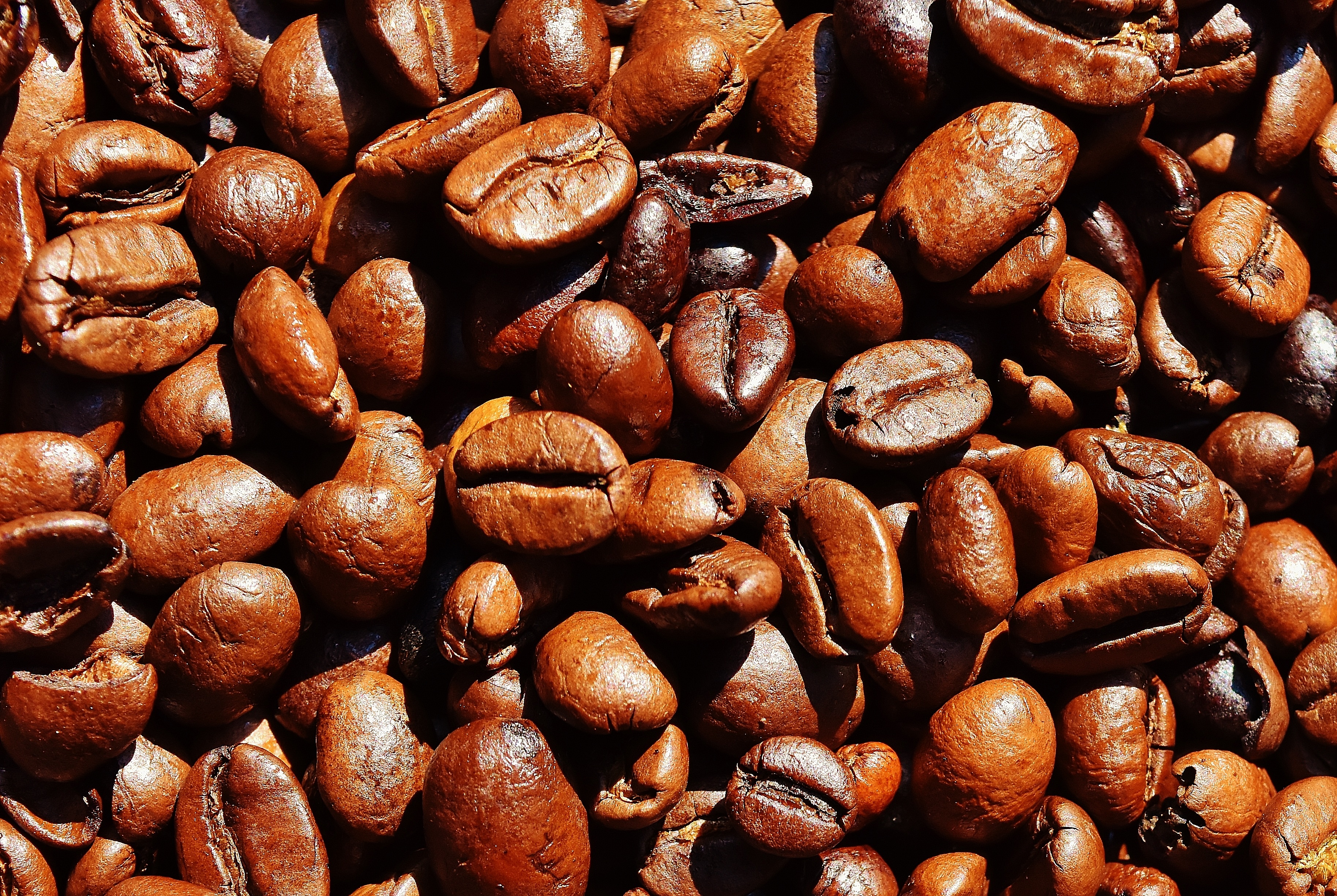 Download Coffee Beans Food Coffee HD Wallpaper
