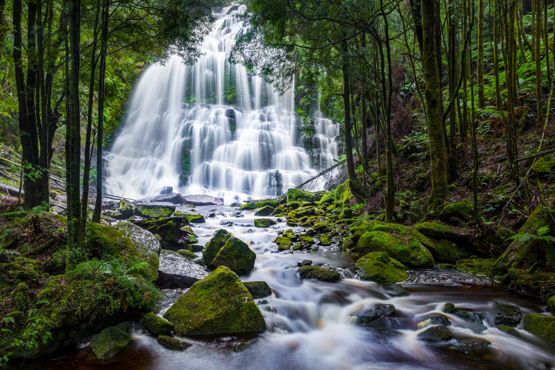 Download Green Forest Nature Waterfall HD Wallpaper