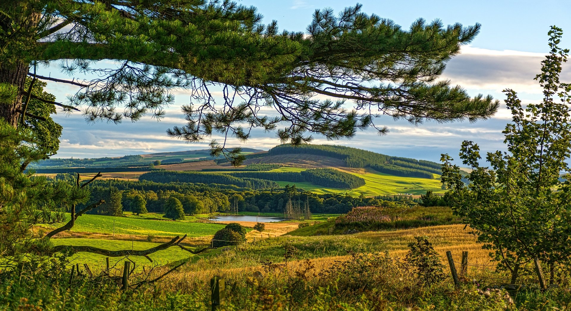 Serene Hillscape: A 4K Ultra HD Nature Escape