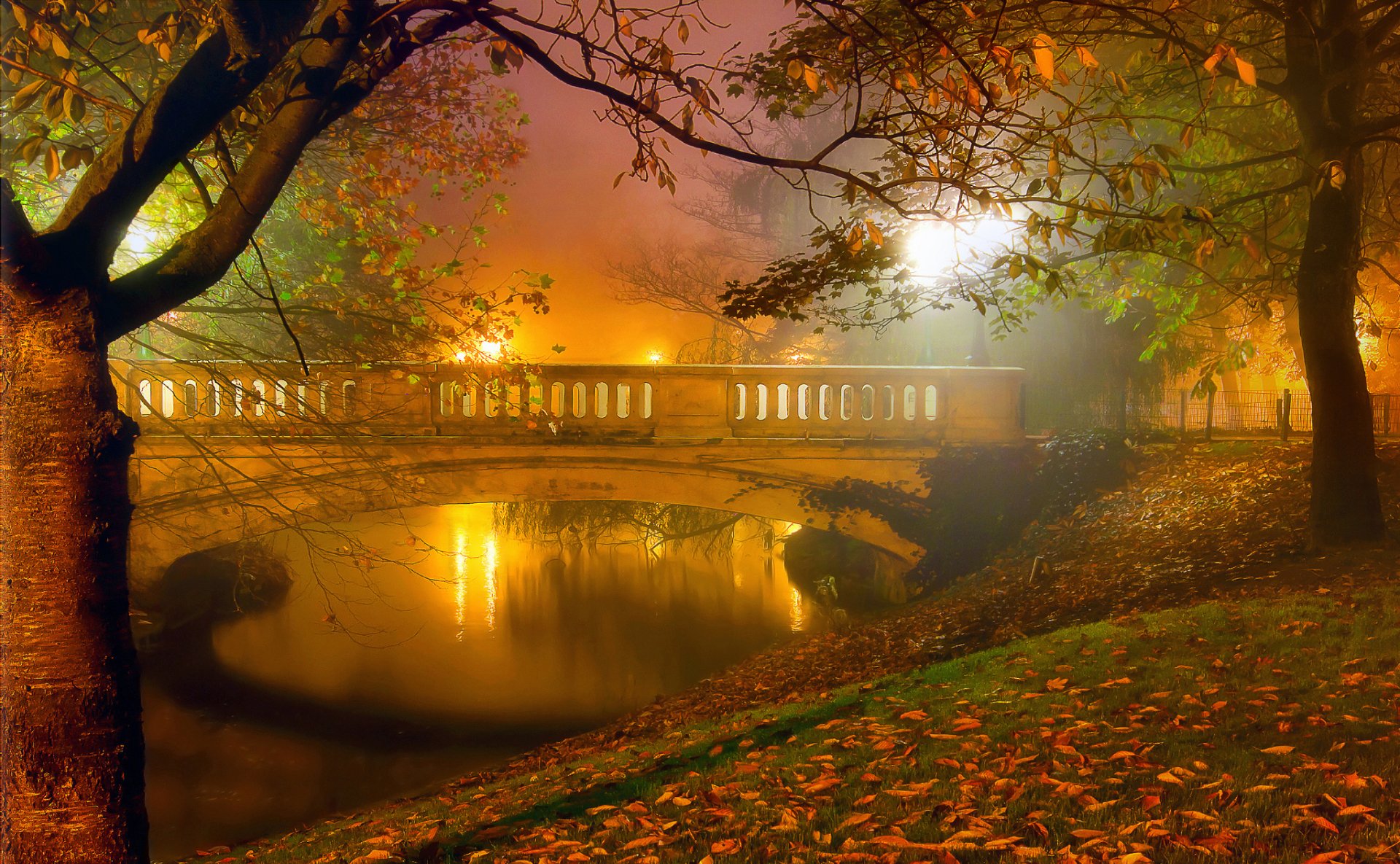 Download Fall Fog River Tree Park Man Made Bridge HD Wallpaper