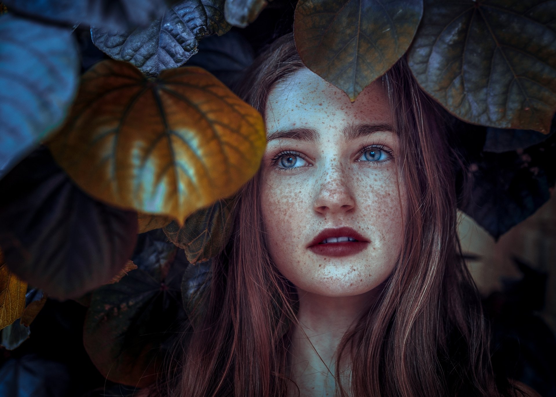 Freckled Redhead Beauty with Blue Eyes Amid Lush Leaves - HD Wallpaper