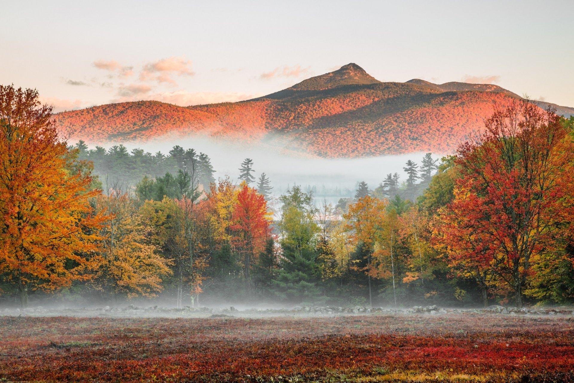 Download Landscape Mountain Tree Fall Nature Fog HD Wallpaper