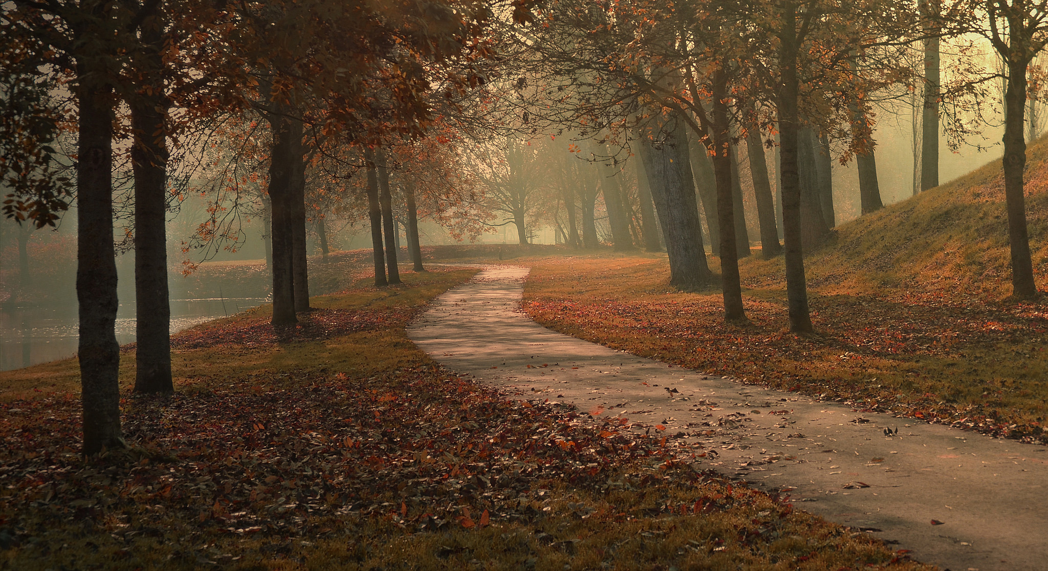 Serene Park Pathway: Autumn Trees HD Wallpaper