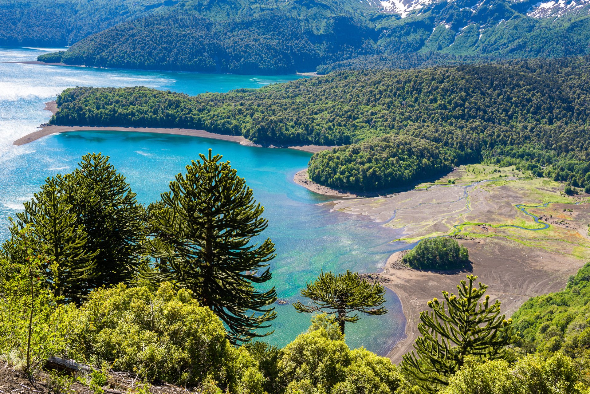 4K Ultra HD Lake & Forest Panorama: Nature’s Serene Landscape View ...