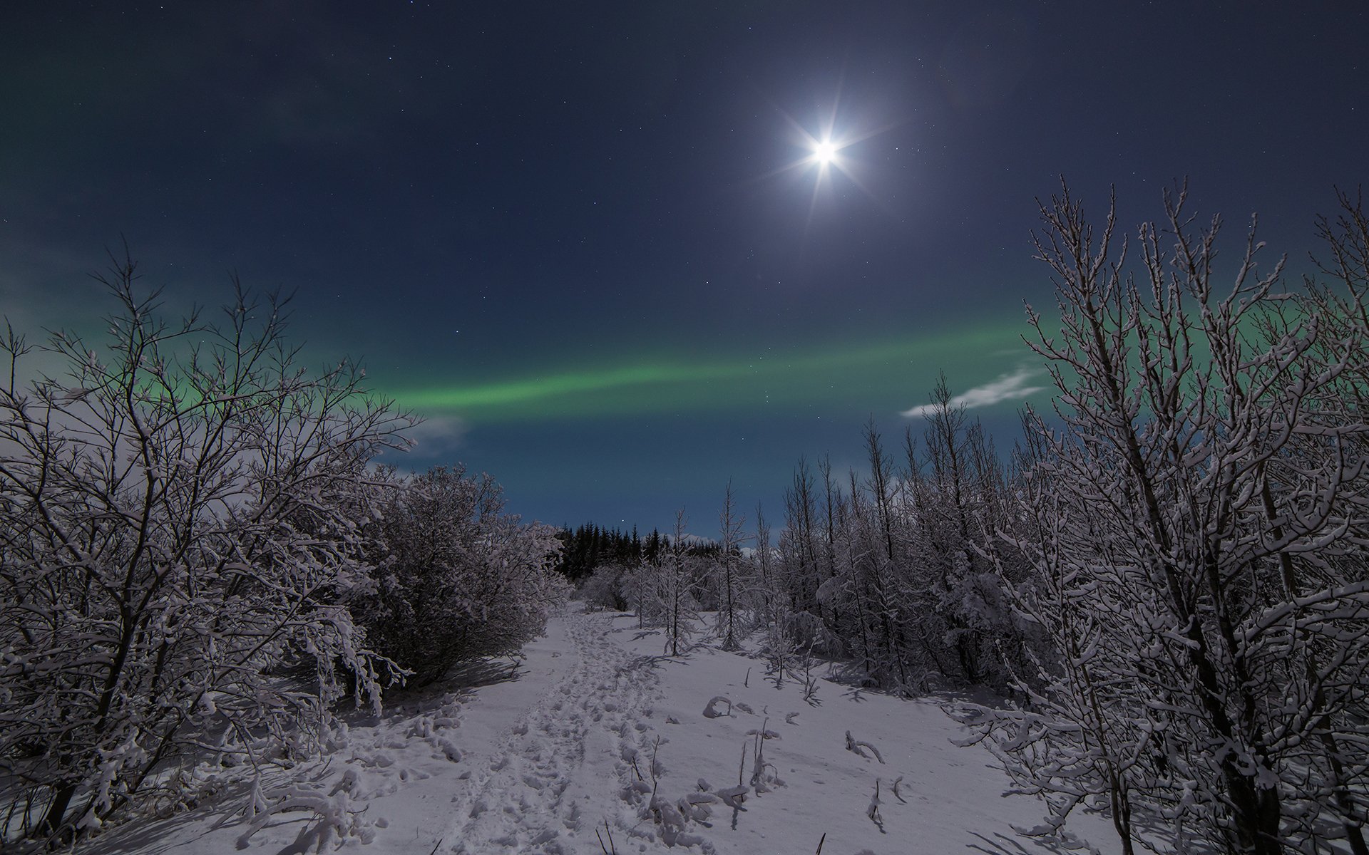 Winter Night Wonders: Starry Sky and Snow-Covered Trails in HD ...