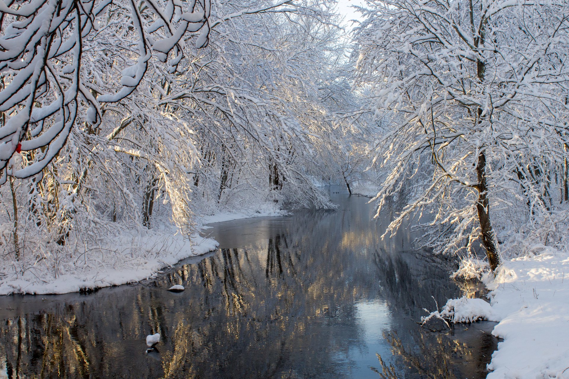 Download Snow Tree River Nature Winter HD Wallpaper