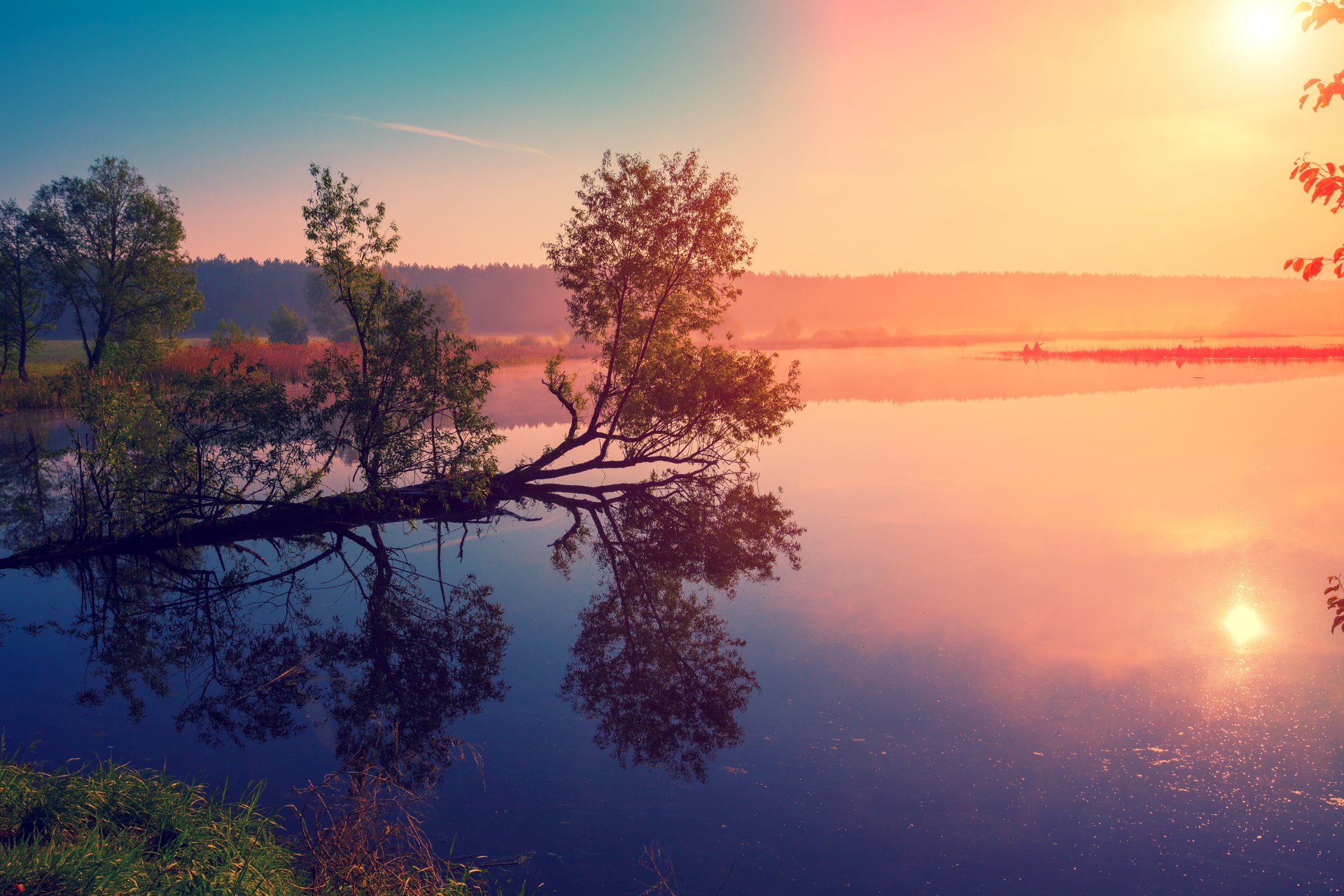 Download Sunrise Lake Tree Nature Reflection 4k Ultra HD Wallpaper