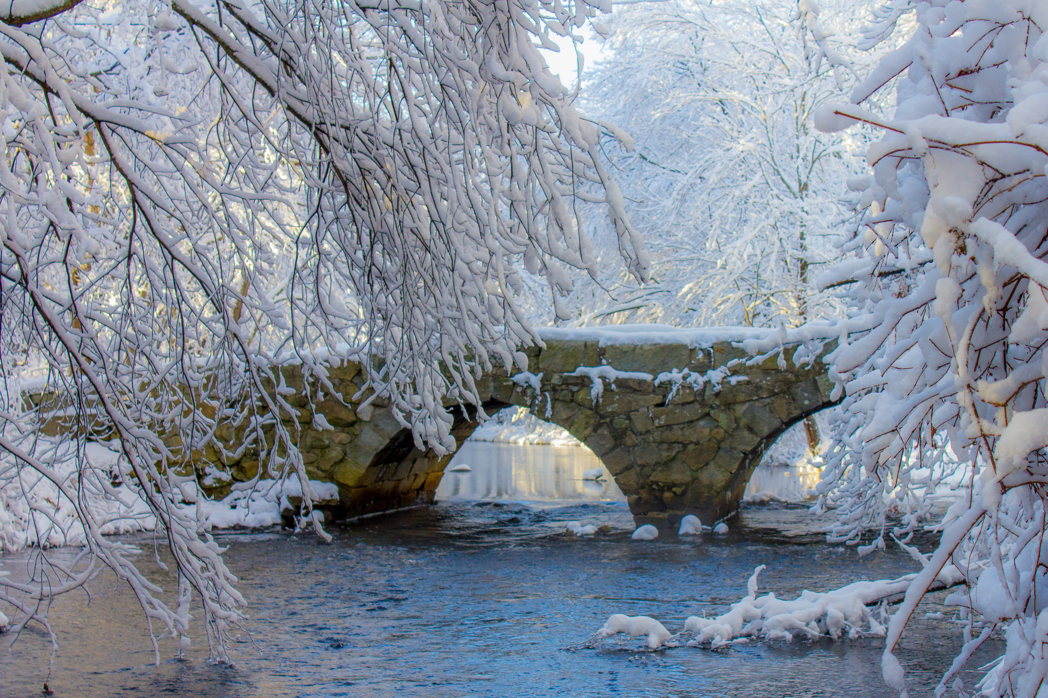 Winter Bridge
