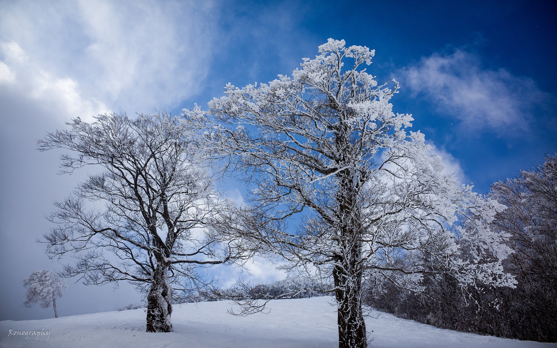 Download Sky Cloud Snow Tree Nature Winter HD Wallpaper