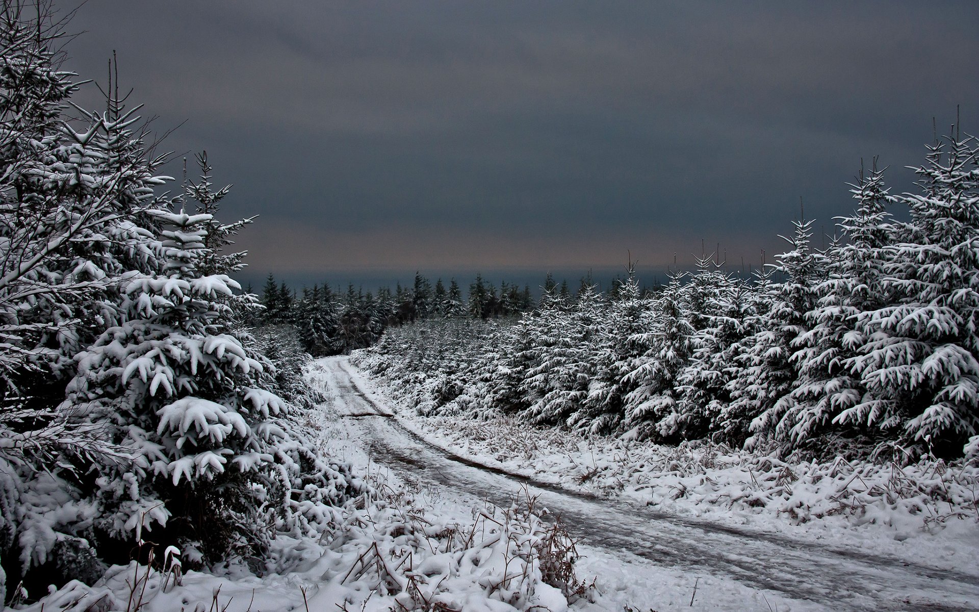Winter Road Through Snowy Forest Under Cloudy Skies – HD Nature Wallpaper