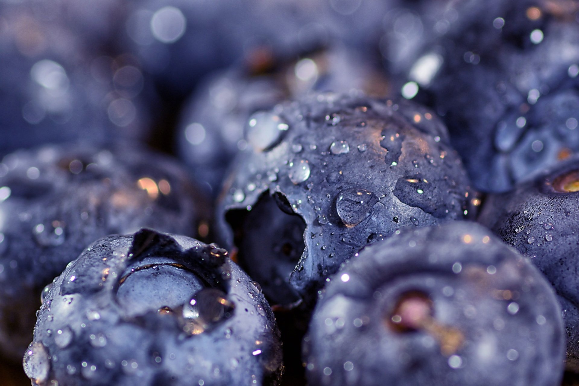 Download Water Drop Close-up Fruit Berry Food Blueberry HD Wallpaper