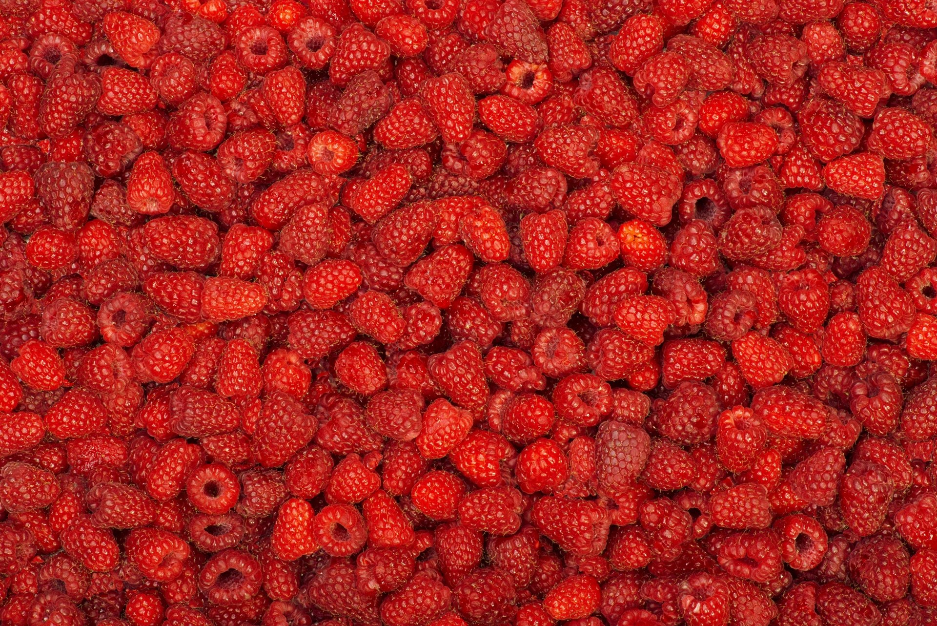 Download Fruit Red Berry Food Raspberry 4k Ultra HD Wallpaper
