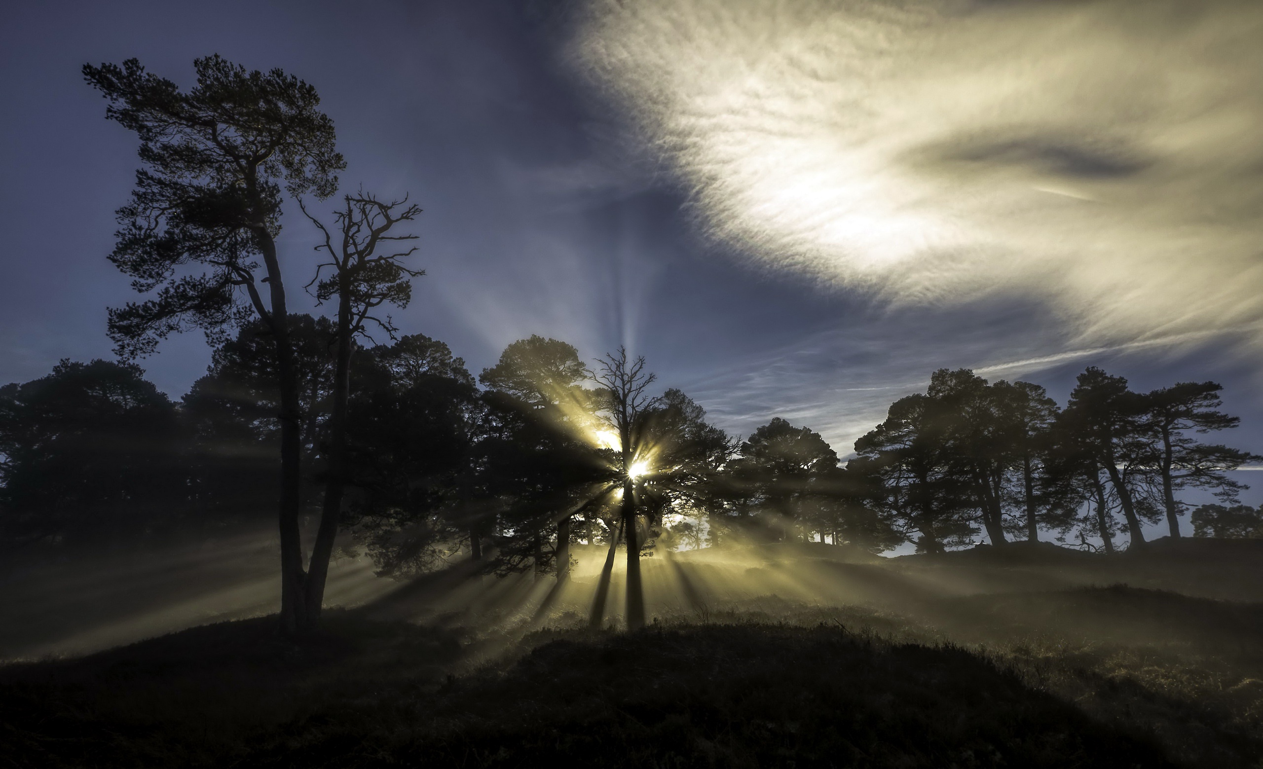 Sunbeam HD Wallpaper