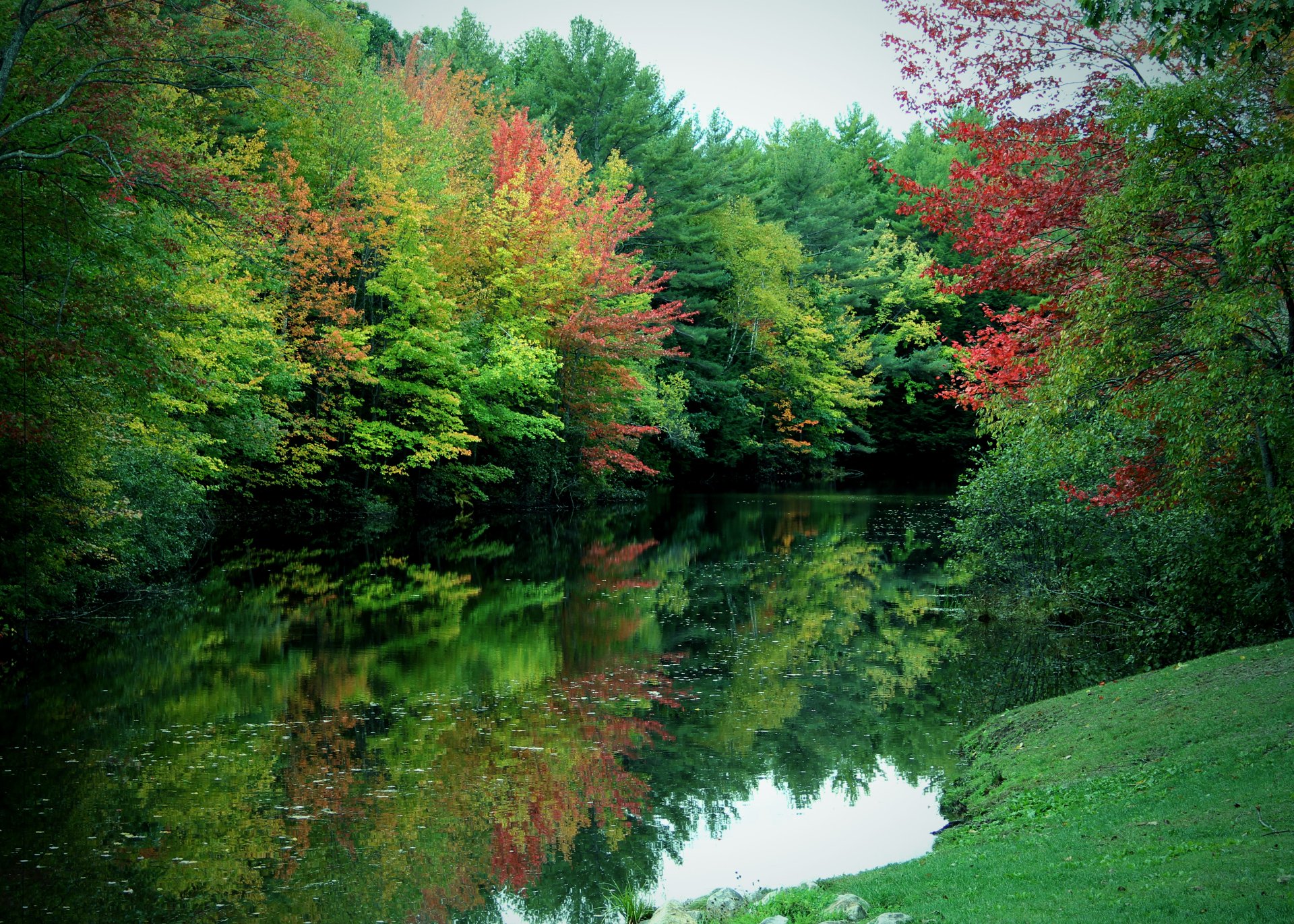 4K Ultra HD Fall Reflection: Tranquil Pond Amidst Colorful Autumn Trees