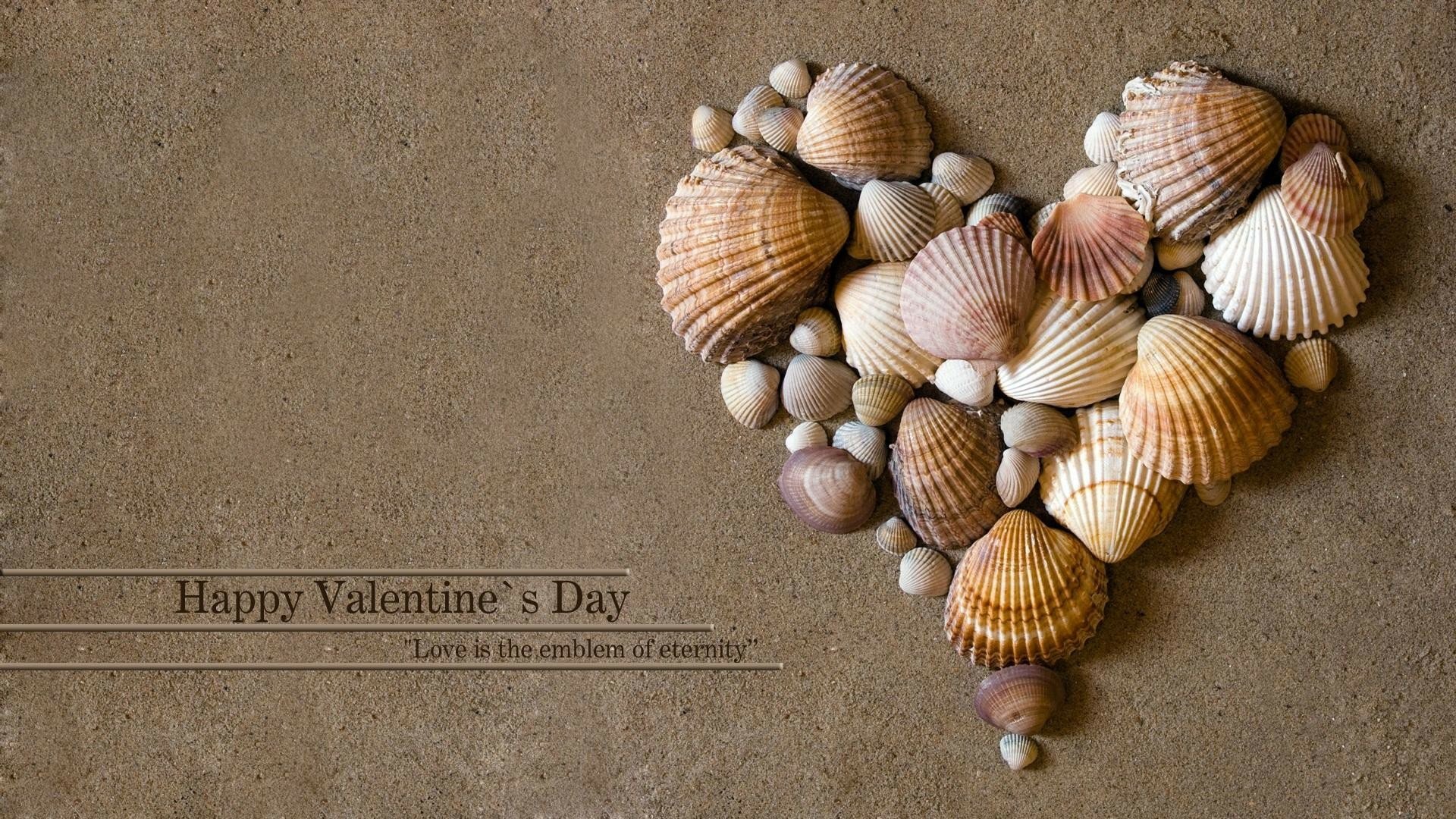 Heartfelt Valentine’s Day: Love Blossoms in Seashells – HD Holiday ...