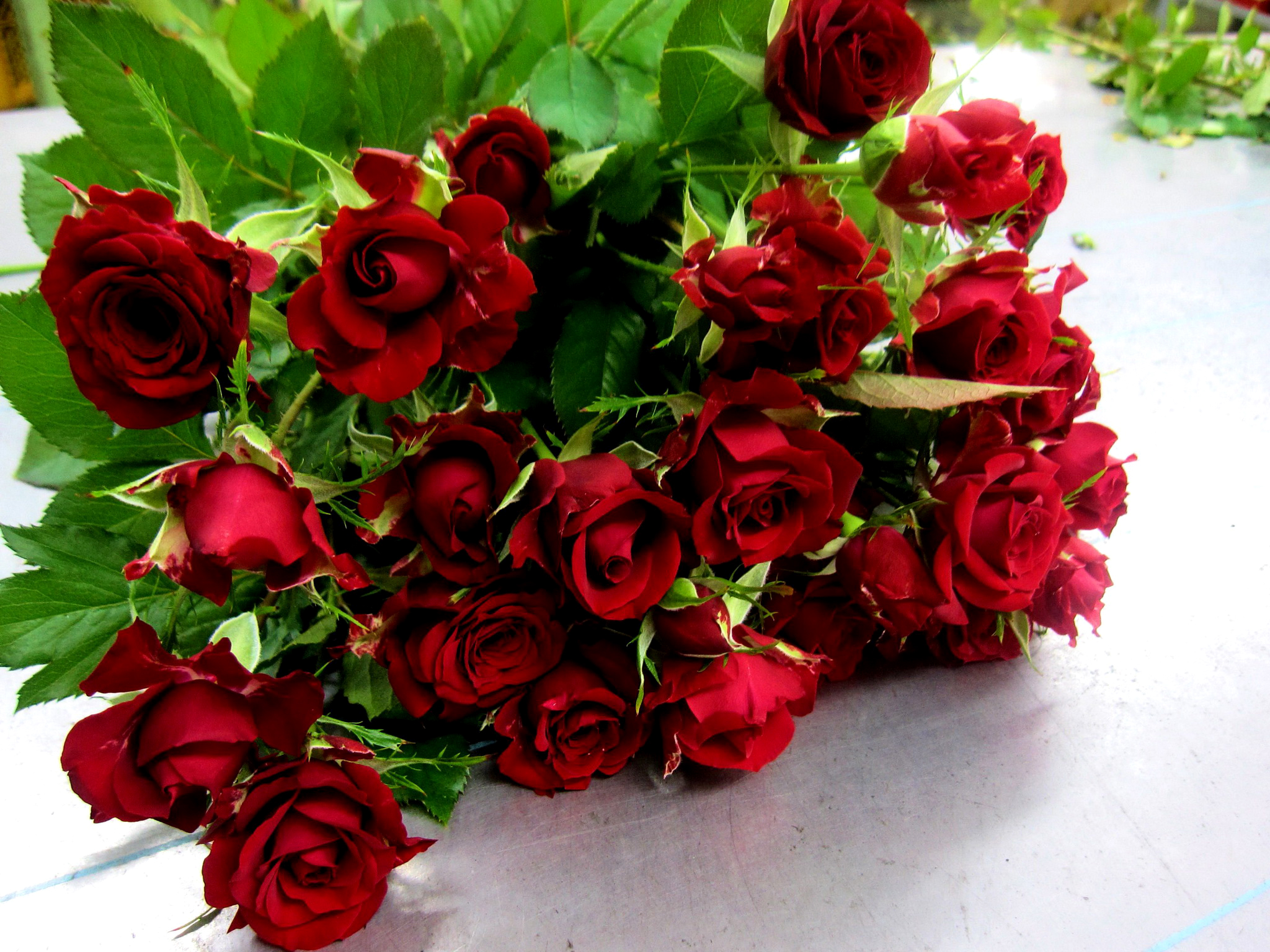 Red Roses