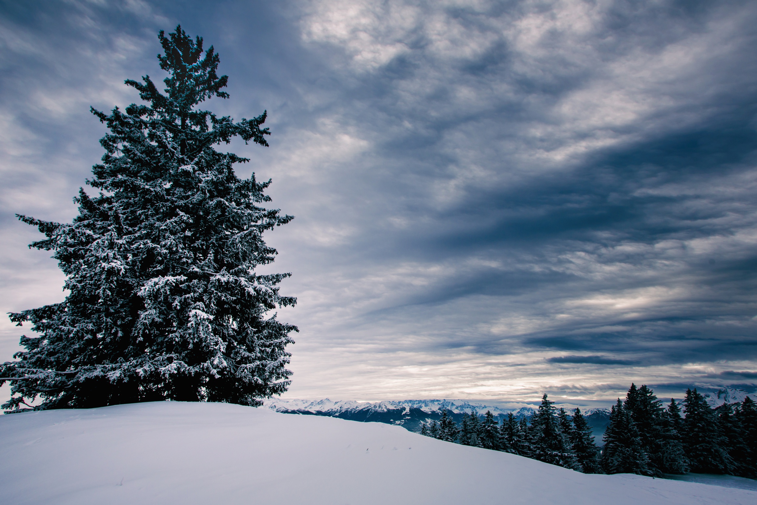 Download Cloud Landscape Tree Snow Nature Winter HD Wallpaper