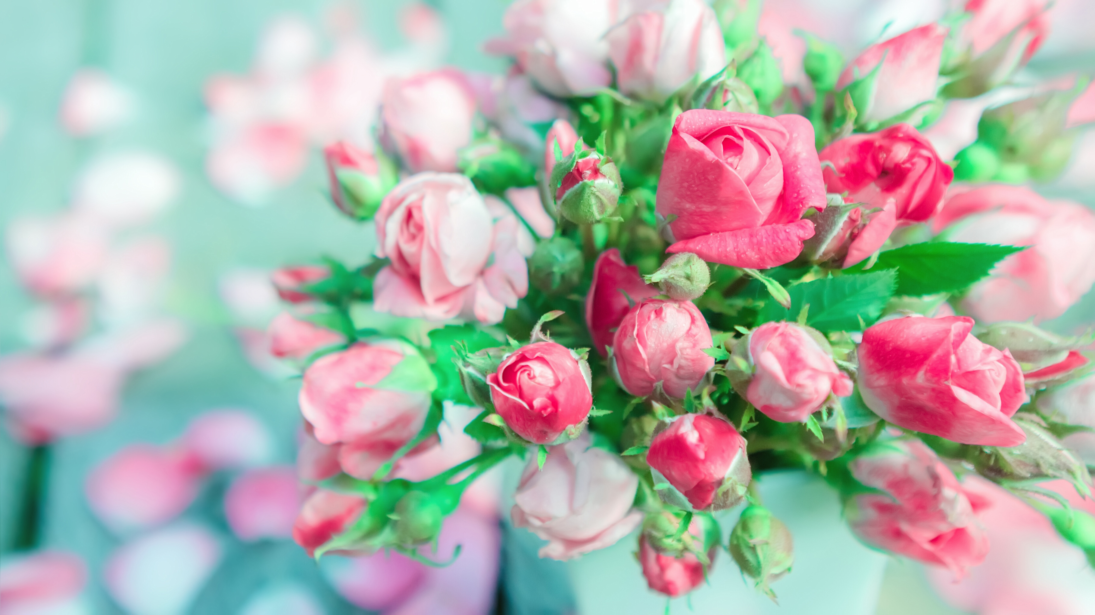 Download Bud Bouquet Pink Flower Flower Nature Rose HD Wallpaper