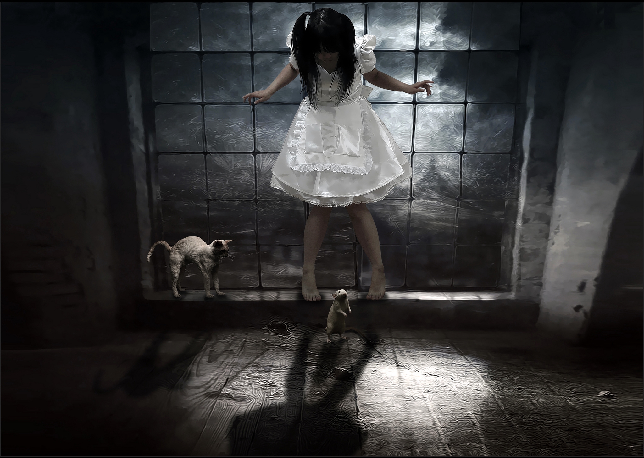 Download Black & White Room Mouse Cat Surreal Photography Manipulation ...