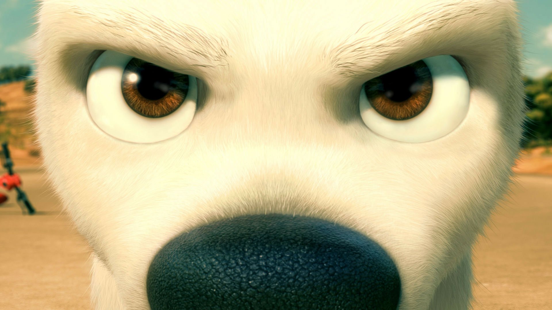 Bolt Movie HD Wallpaper – Close-Up Intense Gaze